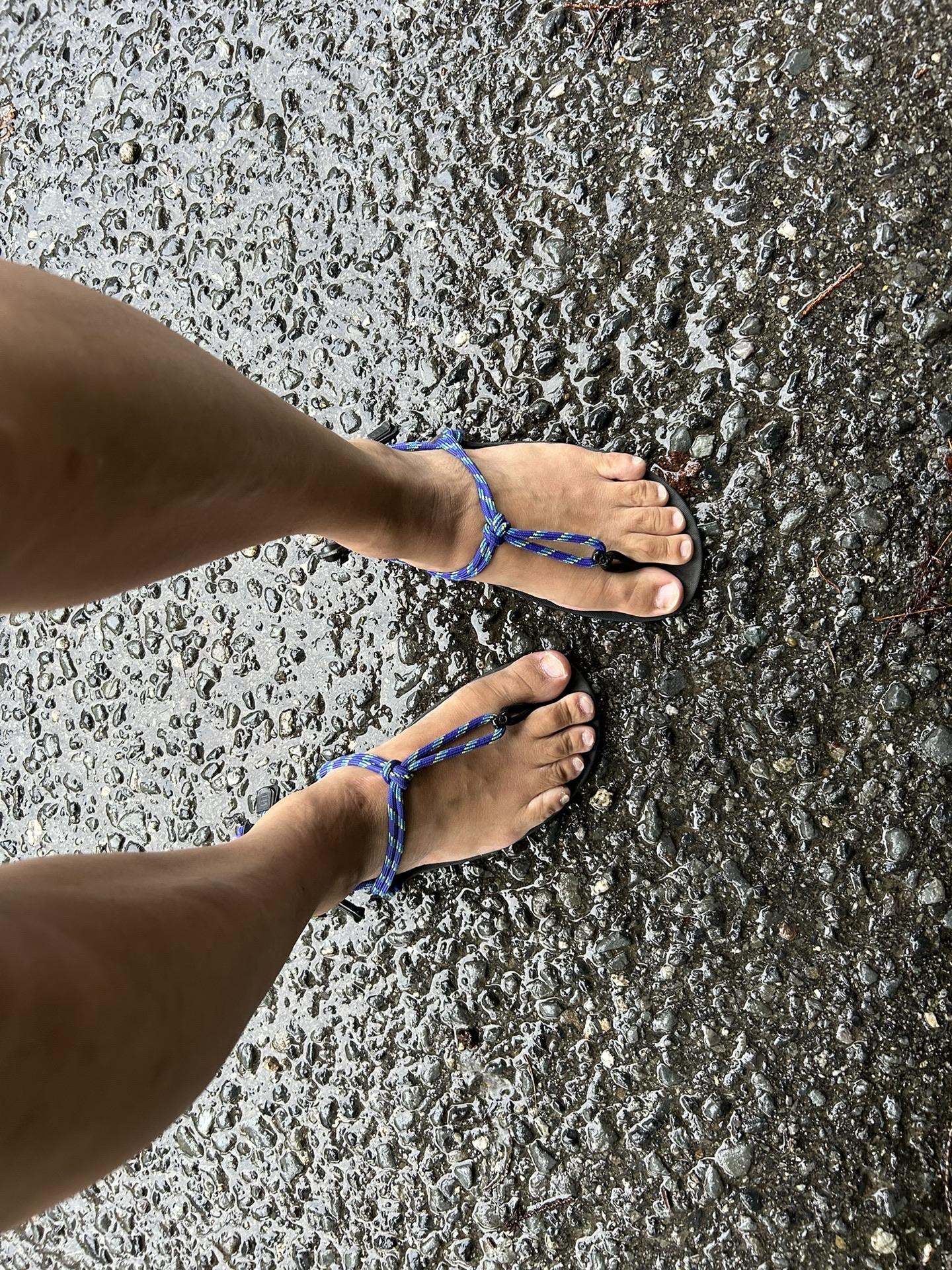 朝活金剛山 / KOH-Z(オッサン釣り倶楽部)さんの金剛山・二上山・大和葛城山の活動データ | YAMAP / ヤマップ