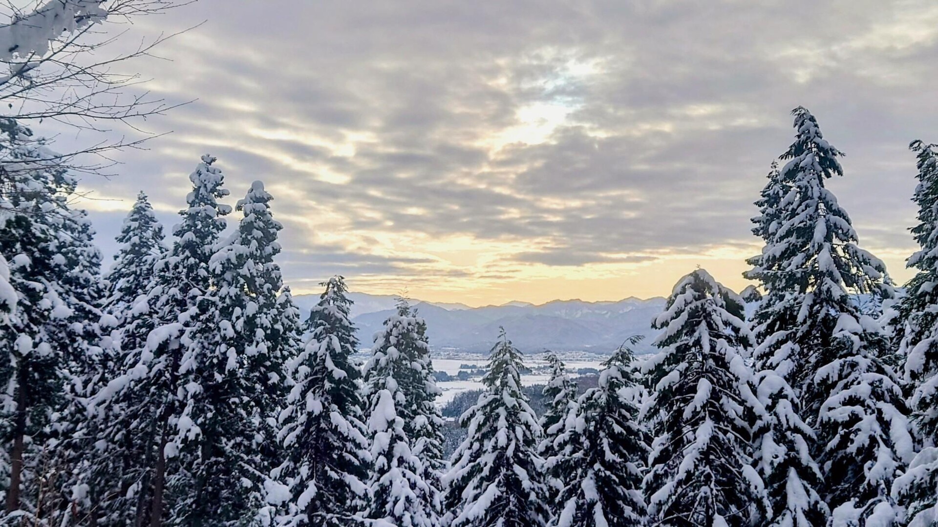 高立山・菩提寺山 / satoさんの菩提寺山・高立山・護摩堂山の活動データ | YAMAP / ヤマップ