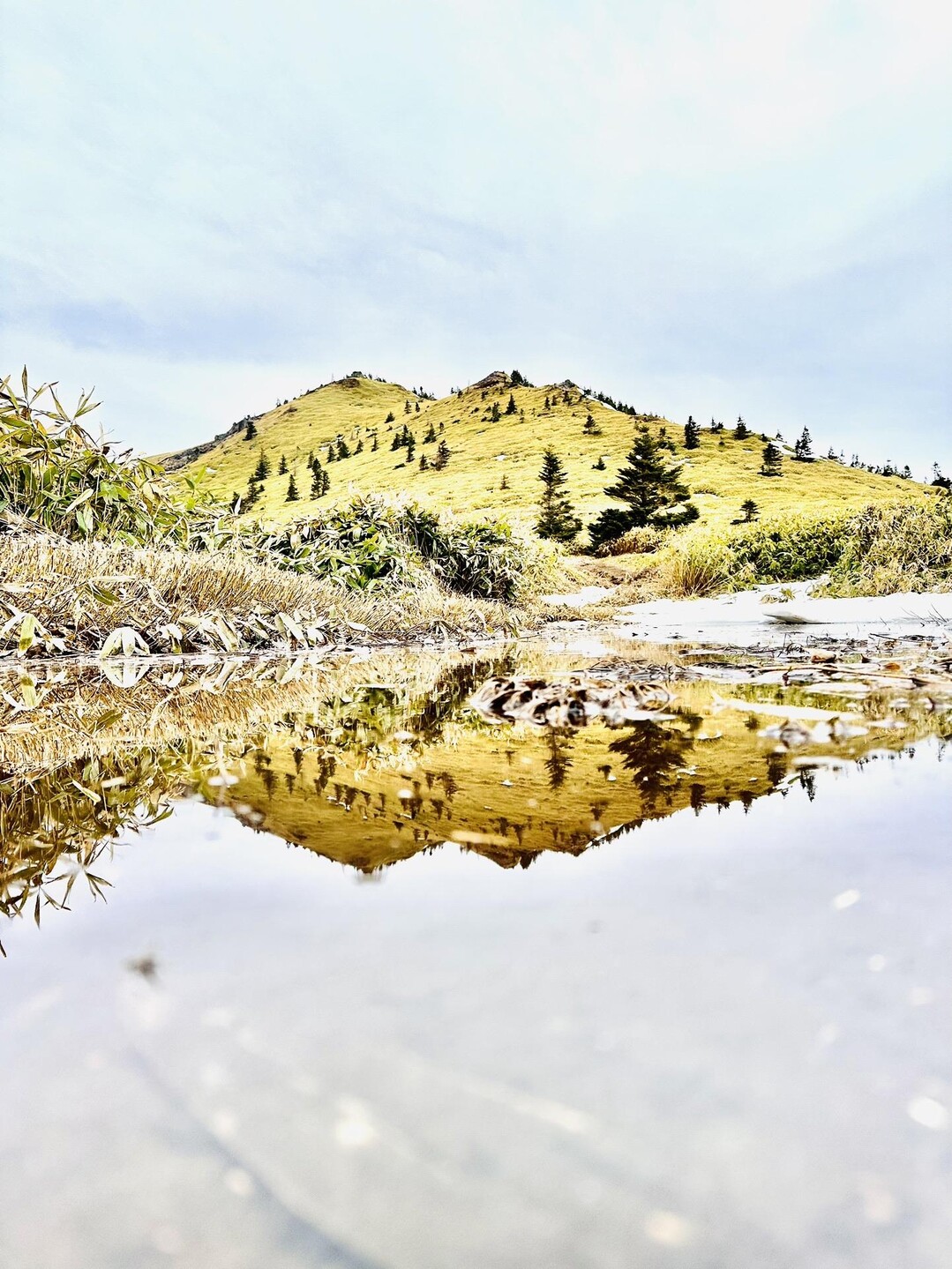 残雪期の四阿山・根子岳へ🏔️ / Star-imoさんの四阿山・根子岳の活動日記 | YAMAP / ヤマップ