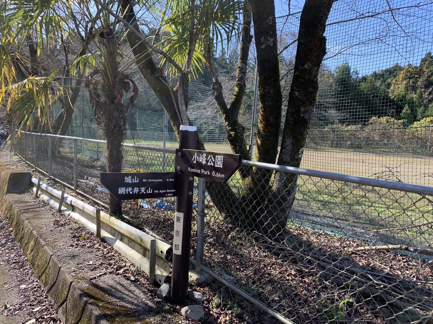 RIKIさんの投稿したフィールドメモ | YAMAP / ヤマップ