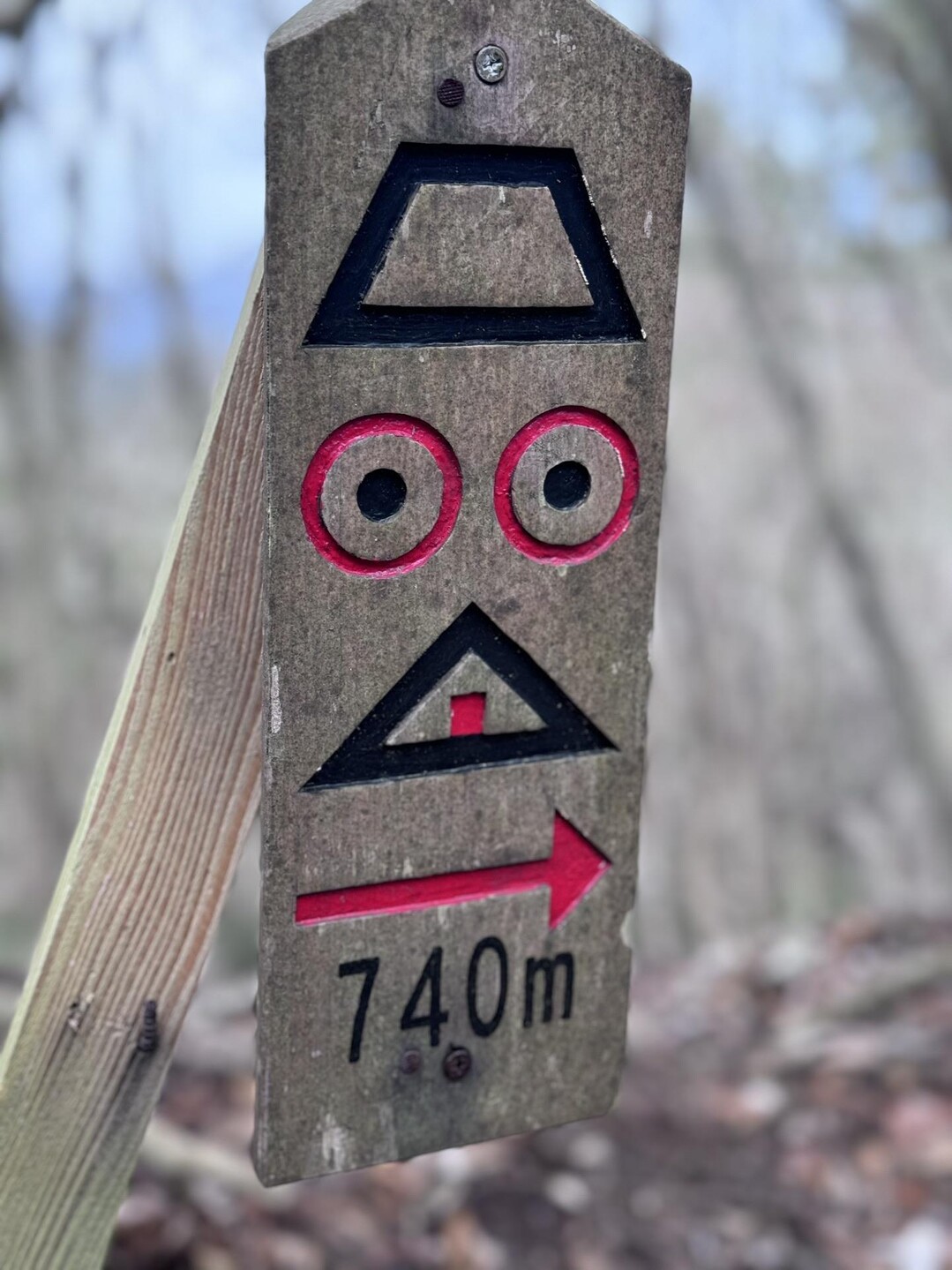 天橋立トレイル【改】⛰️ 滝上公園周回コース / Tanmo Minoさんの天橋立トレイルの活動データ | YAMAP / ヤマップ