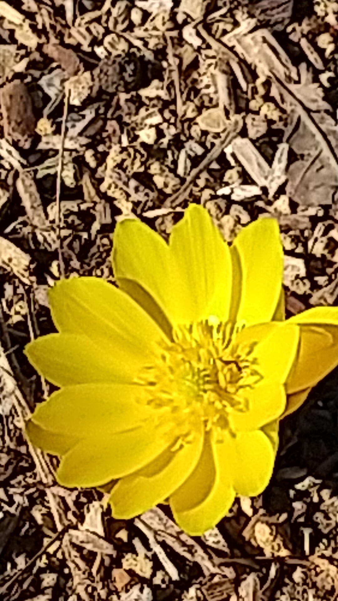 satochanのページ | YAMAP / ヤマップ