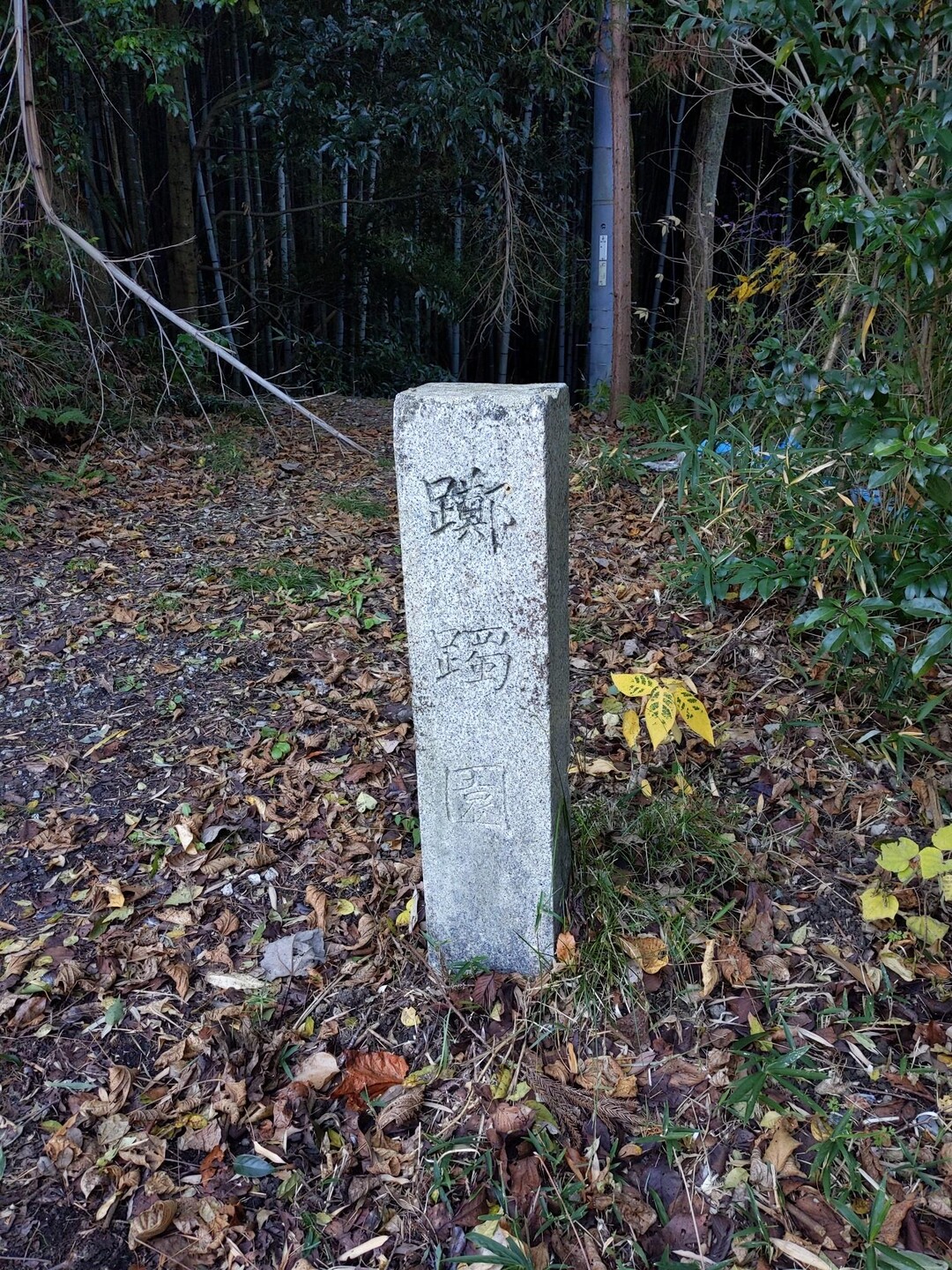 Taさんの投稿したフィールドメモ | YAMAP / ヤマップ