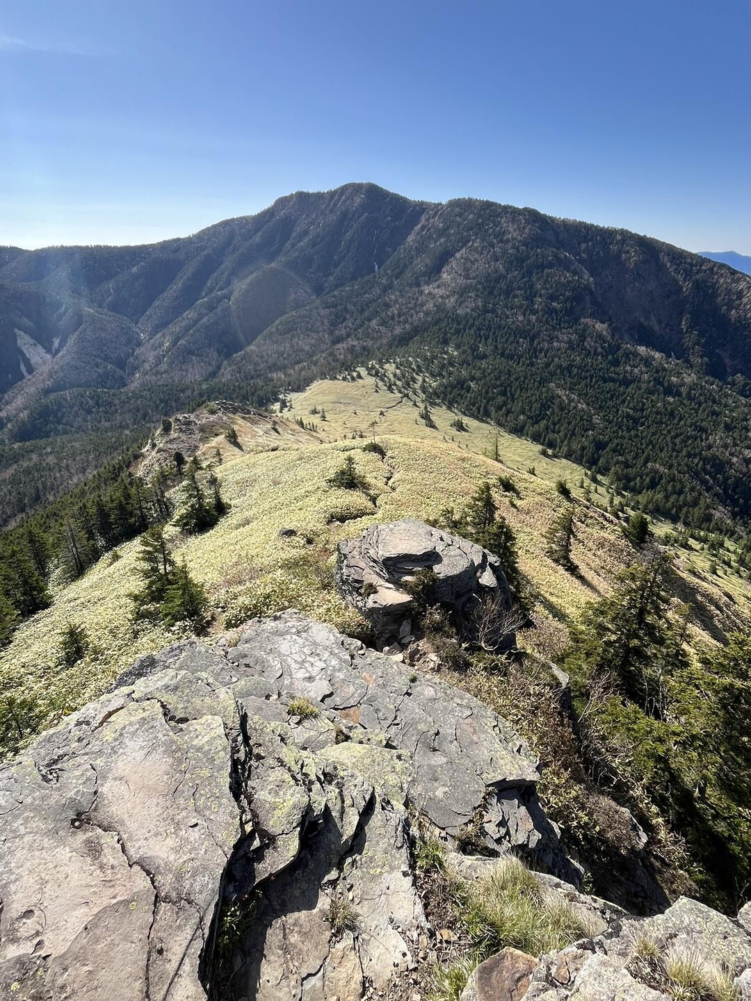 根子岳・四阿山・中四阿・小四阿 / yasuさんの四阿山・根子岳の活動データ | YAMAP / ヤマップ