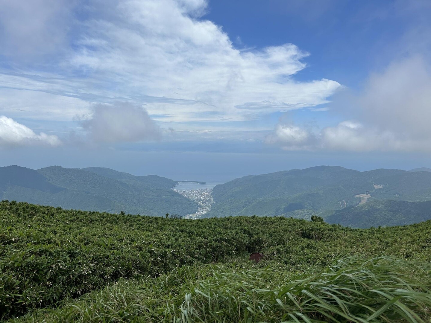 小達磨山・達磨山 / annaさんの金冠山・達磨山・葛城山の活動データ | YAMAP / ヤマップ