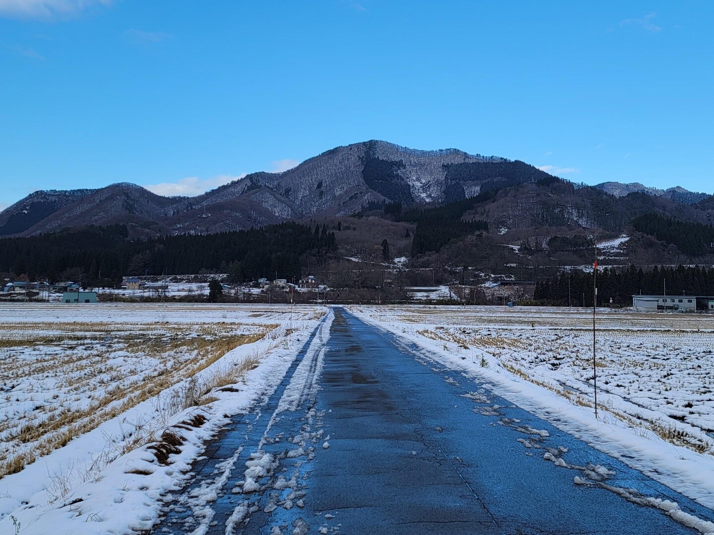 鞍掛山（大館TG11）熊とニアミス！ / スローライフ！さんの鳳凰山の活動データ | YAMAP / ヤマップ