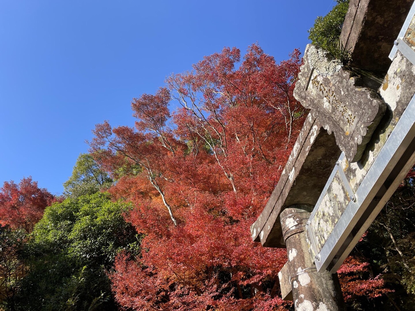 長崎市内の紅葉名所巡り🍁パートIII【... / ケンマン（ぷらり登山隊）さんのモーメント | YAMAP / ヤマップ