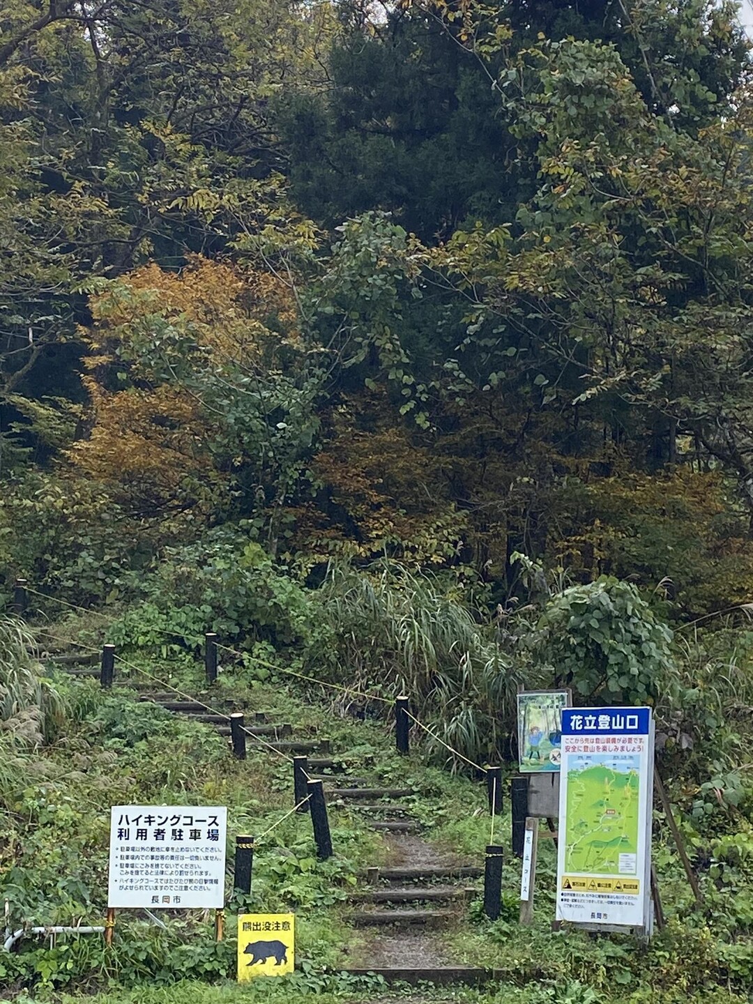鋸山 / Chie🍓Goさんの鋸山・三ノ峠山・八方台の活動データ | YAMAP / ヤマップ