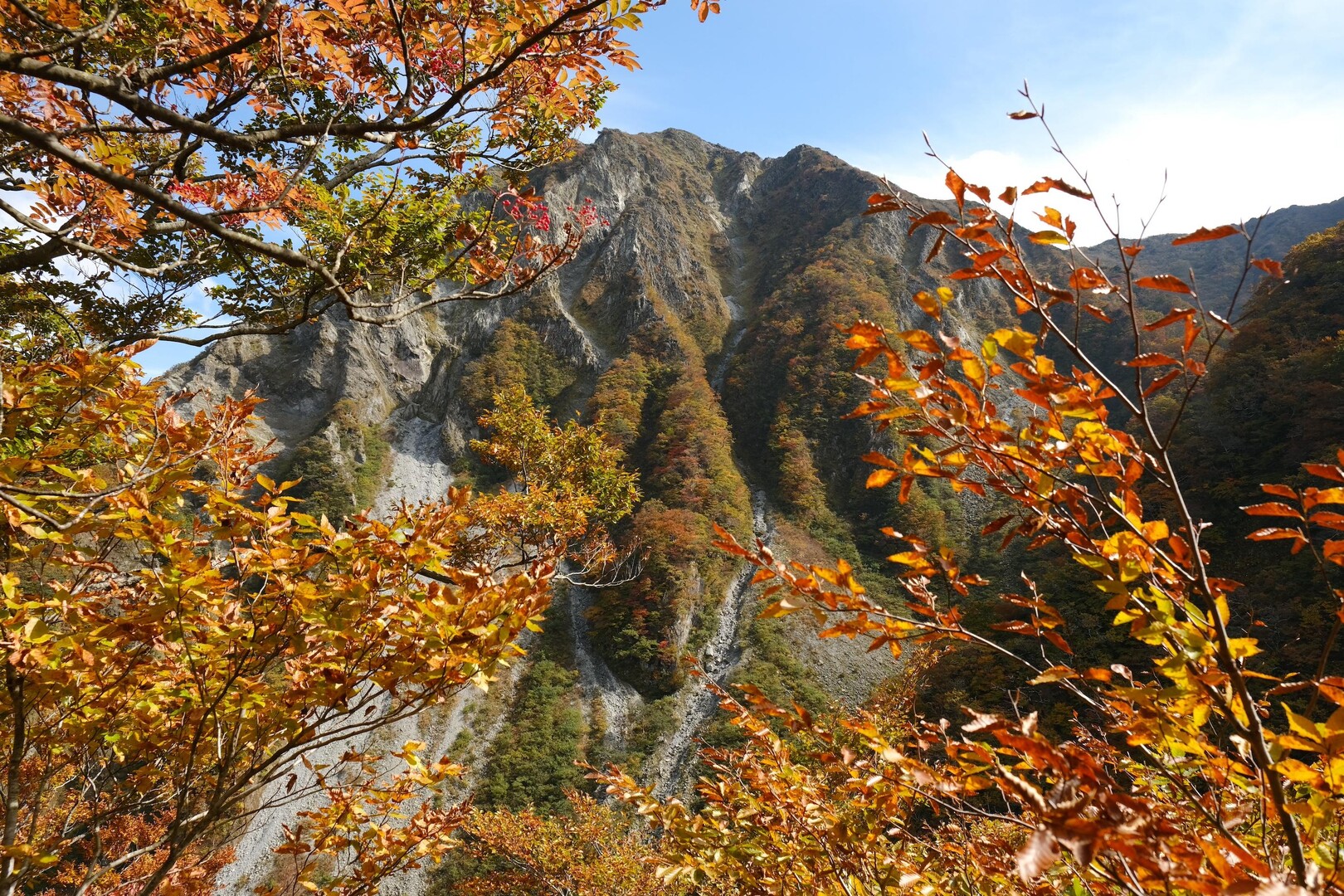 三鈷峰・象ヶ鼻 / yosucoさんの大山・甲ヶ山・野田ヶ山の活動データ | YAMAP / ヤマップ
