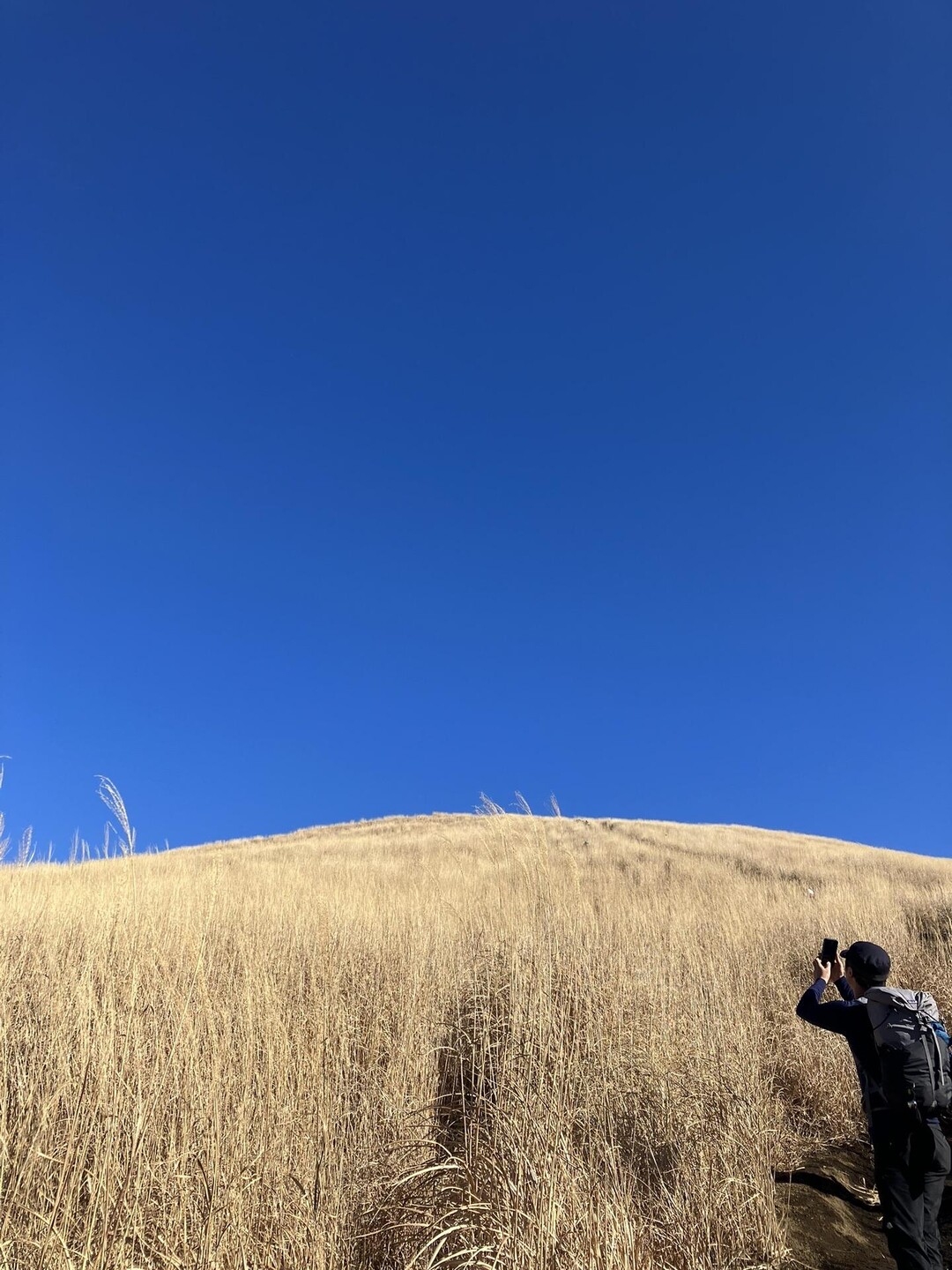 大洞山・楢木山・三国山・鉄砲木ノ頭(明神山) / tykmktさんの三国山・大洞山・不老山の活動データ | YAMAP / ヤマップ
