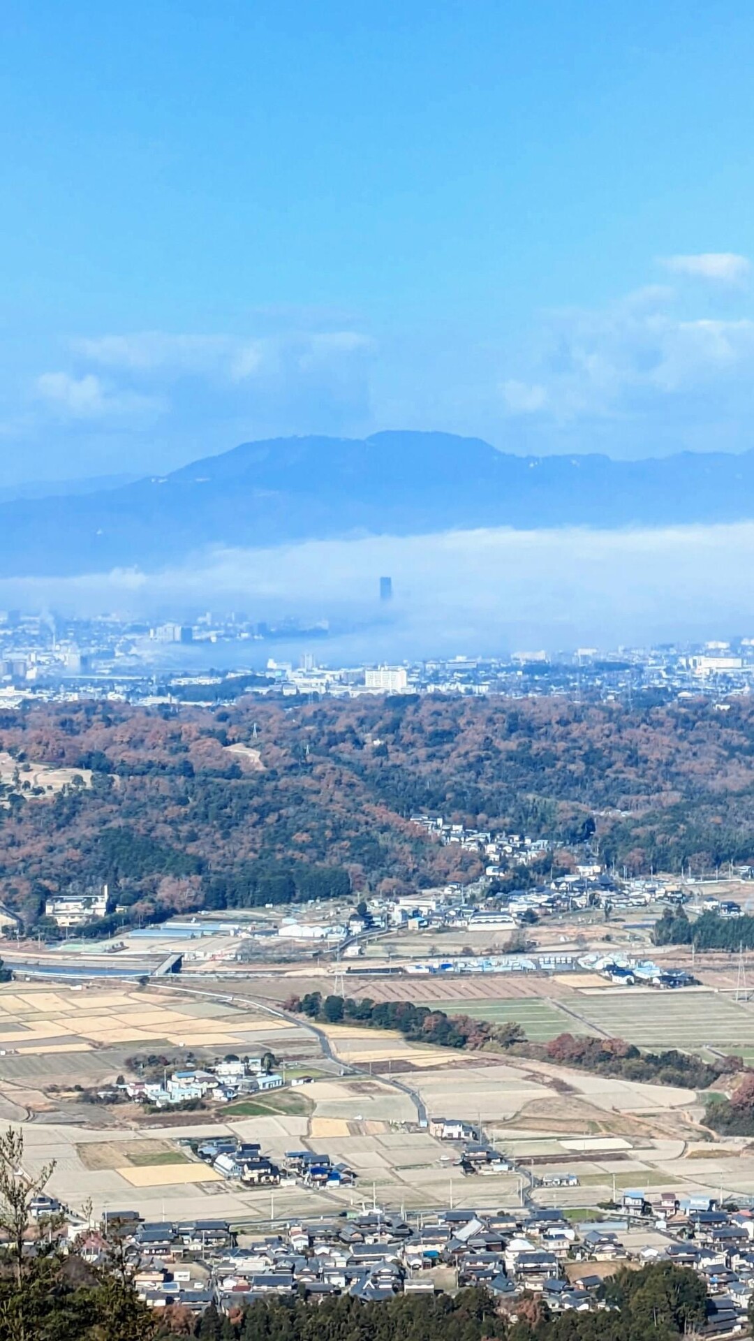 湖南アルプス_堂山ルート / TKT🀟さんの湖南アルプス（太神山・堂山）の活動データ | YAMAP / ヤマップ