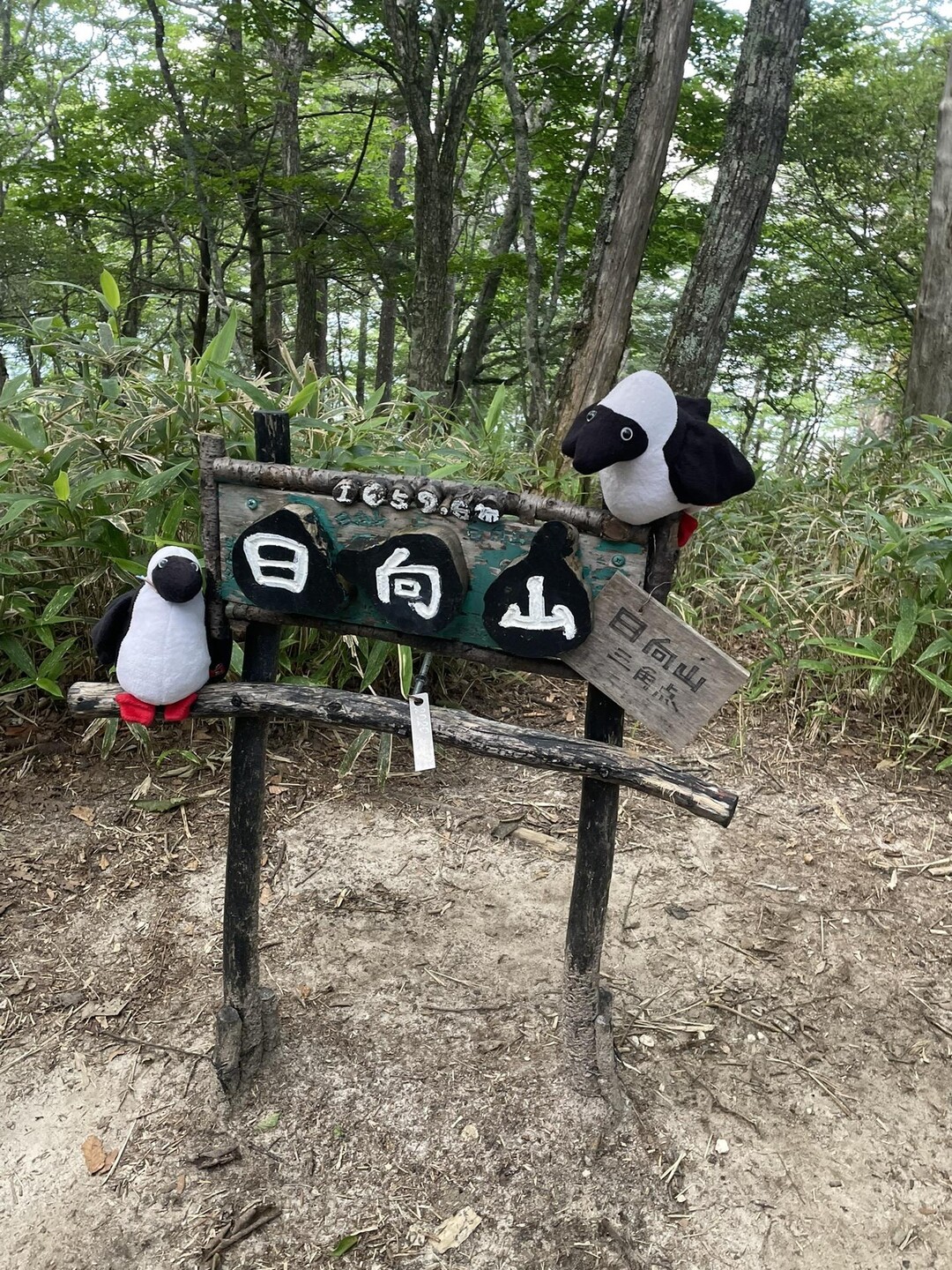 日向山 / synさんの甲斐駒ヶ岳・日向山の活動データ | YAMAP / ヤマップ