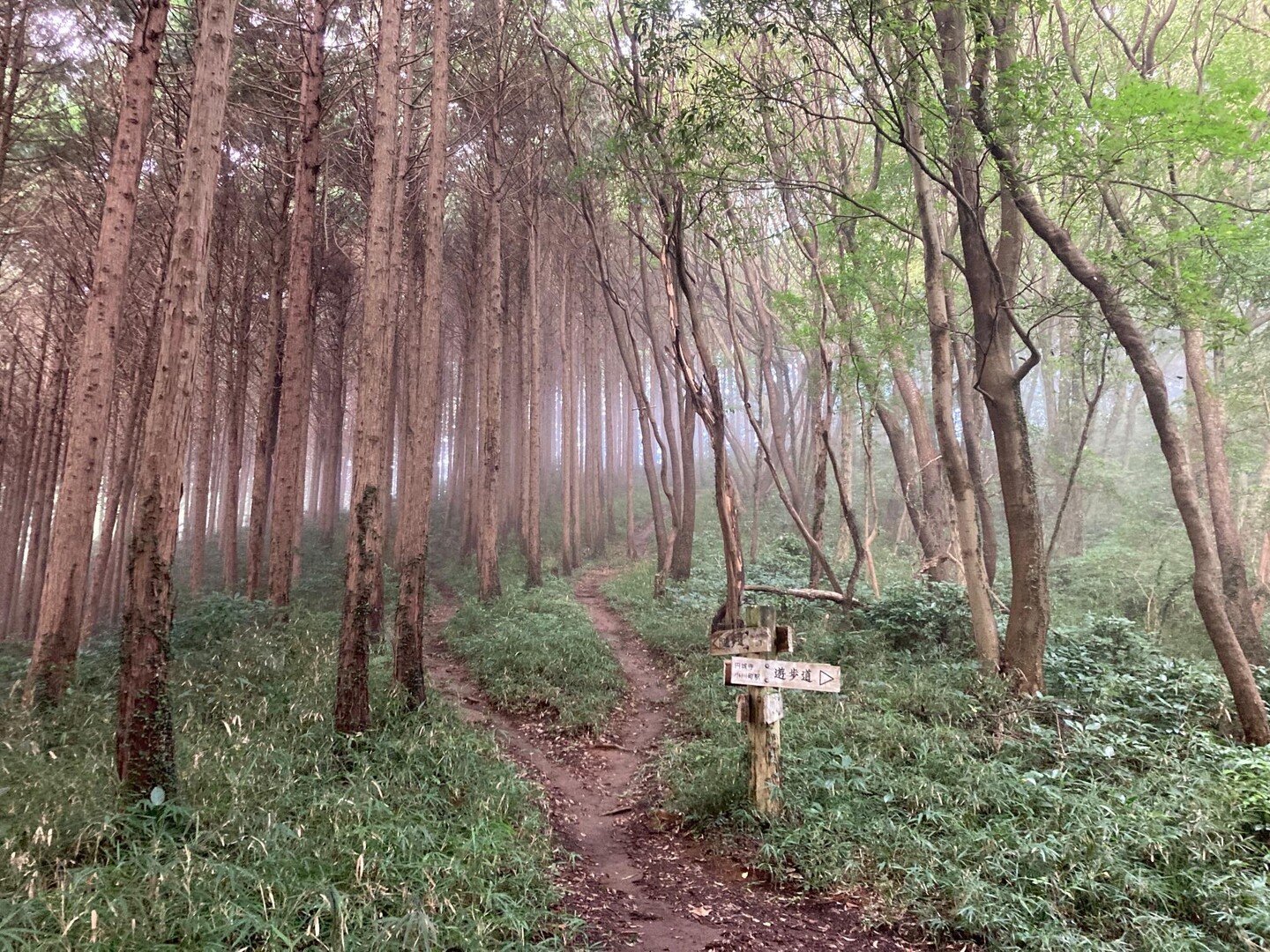 taoさんの投稿したフィールドメモ | YAMAP / ヤマップ