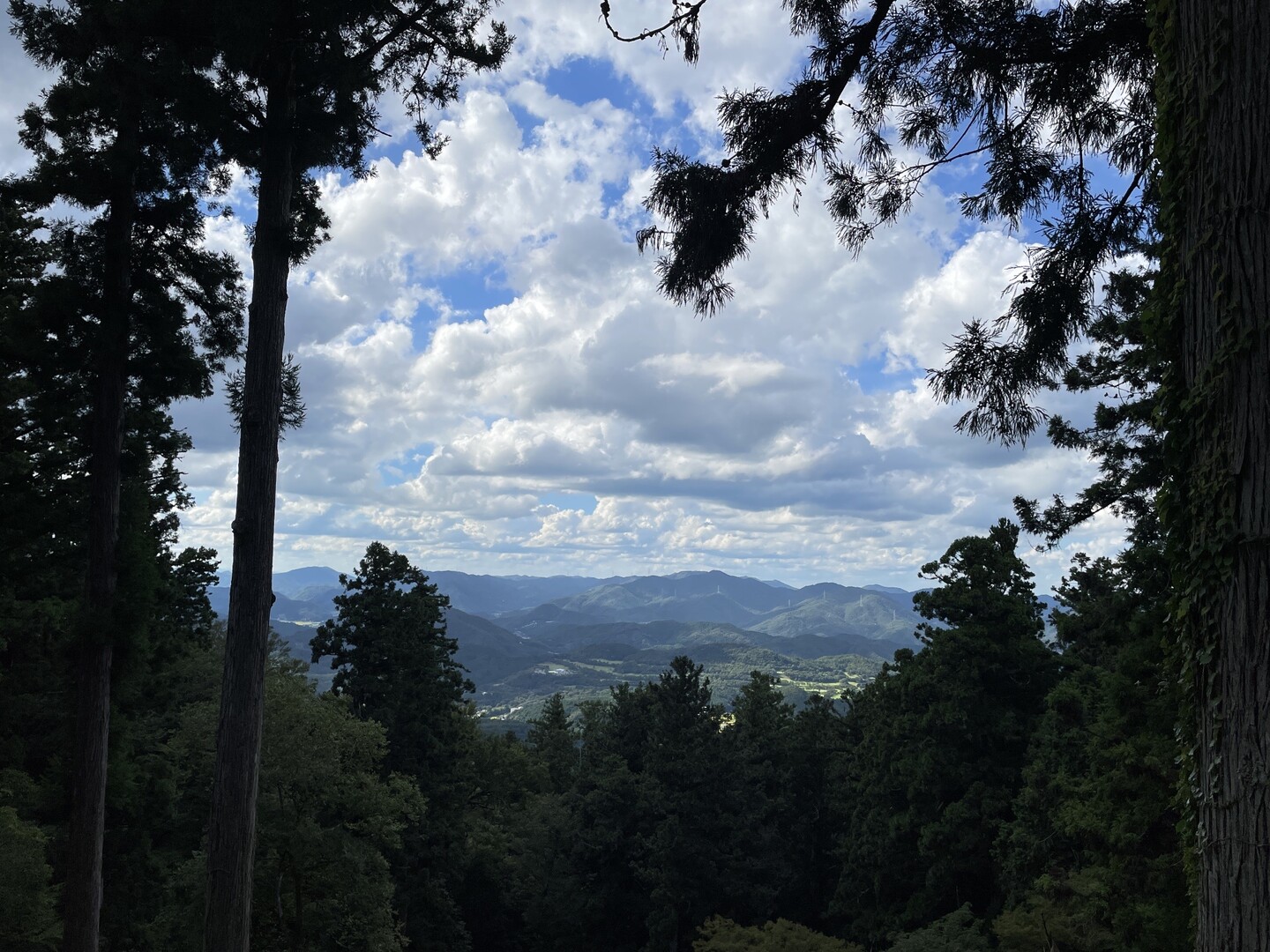 妙見山 / うずまきさんの能勢妙見山・歌垣山・天台山の活動データ | YAMAP / ヤマップ