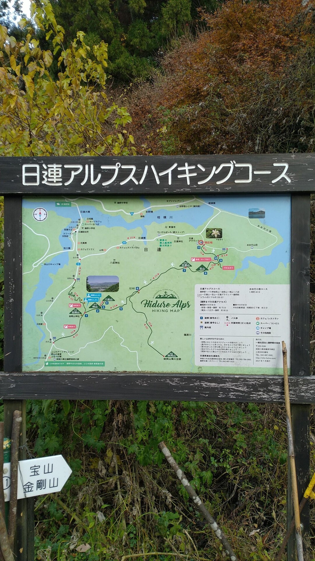 山ビル休暇中の金剛山・日連アルプスな / Rioさんの高尾山・陣馬山・景信山の活動データ | YAMAP / ヤマップ