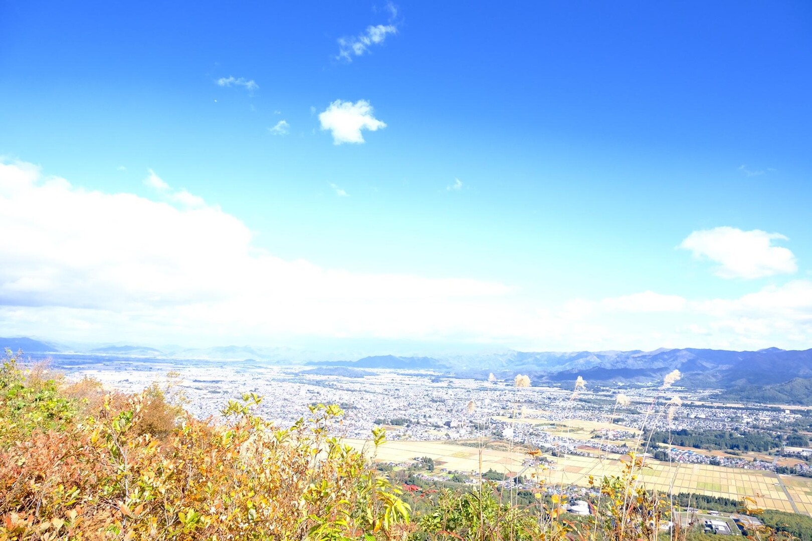 なんだかんだで斜平山 大正解 / まめさんの笹野山（斜平山）・羽山・栃窪山の活動データ | YAMAP / ヤマップ