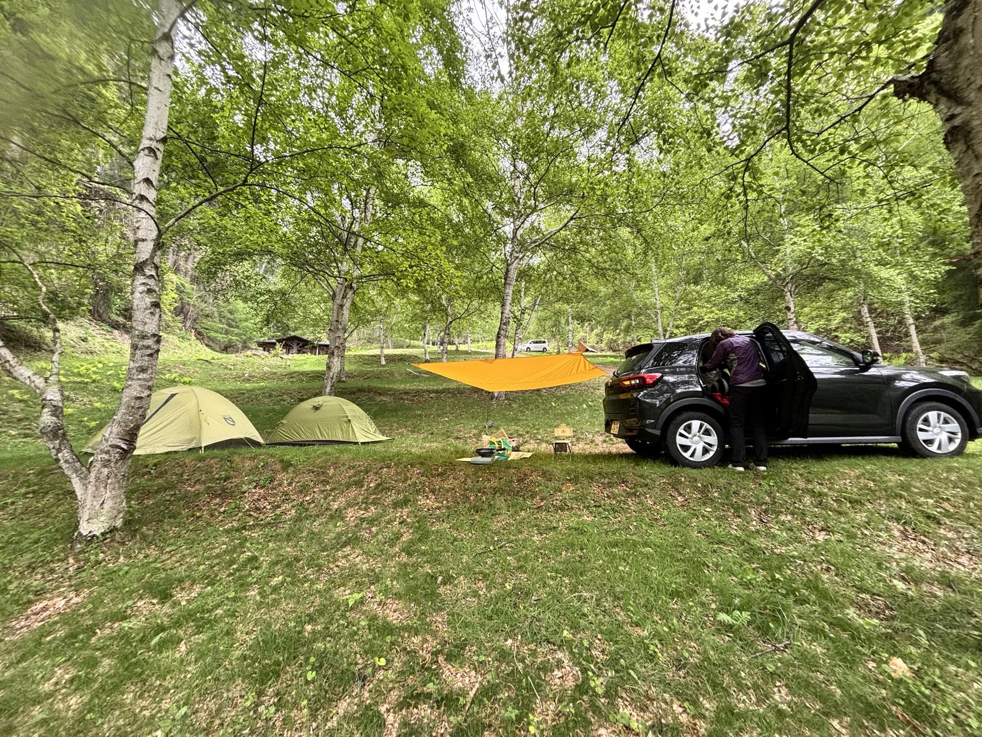 王ヶ鼻・美ヶ原（王ヶ頭） / mierinさんの美ヶ原の活動データ | YAMAP / ヤマップ