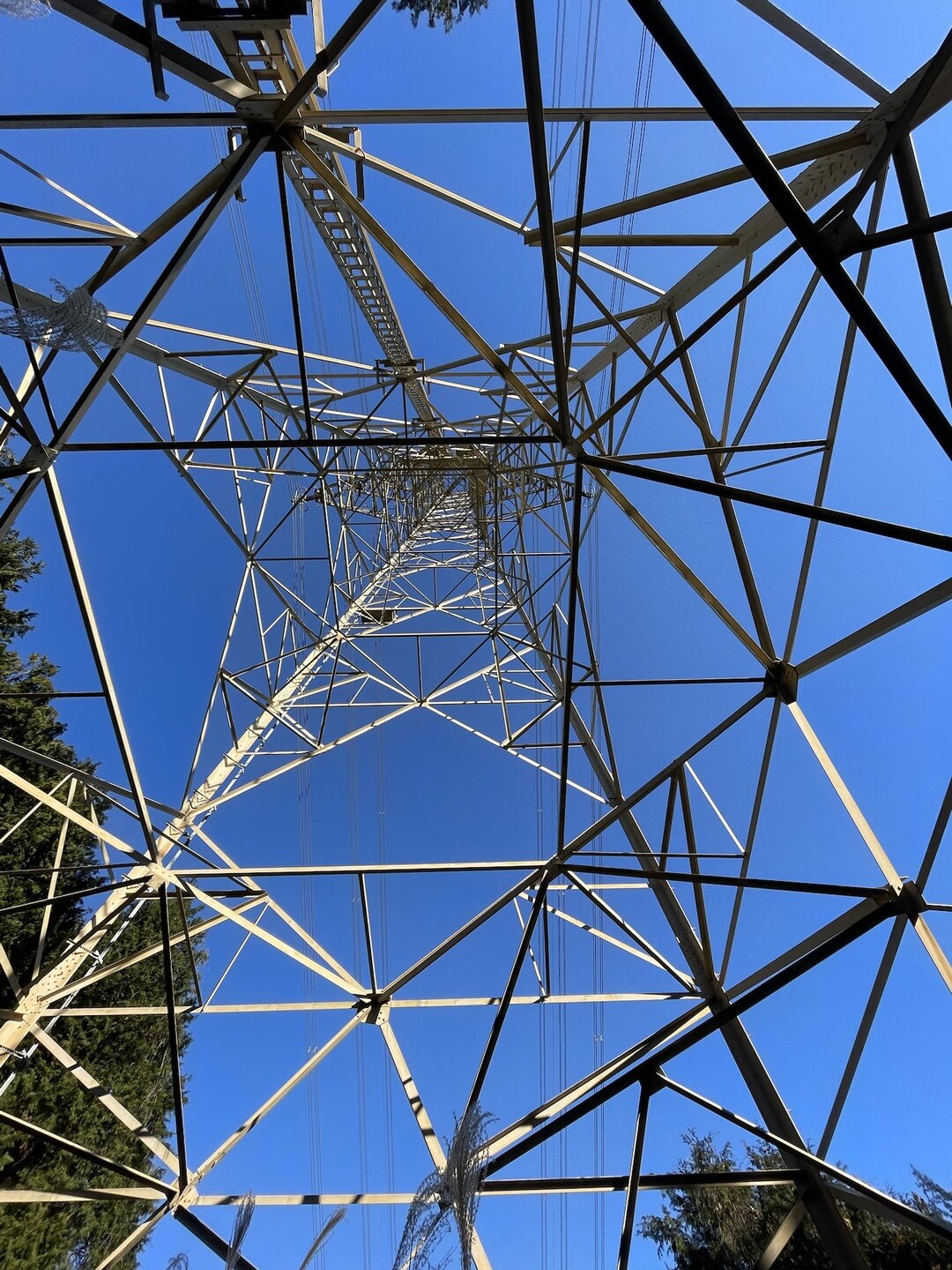 次男と登り納めで日の出山へ行って来ました / gakuさんの大岳山・御岳山・御前山の活動データ | YAMAP / ヤマップ
