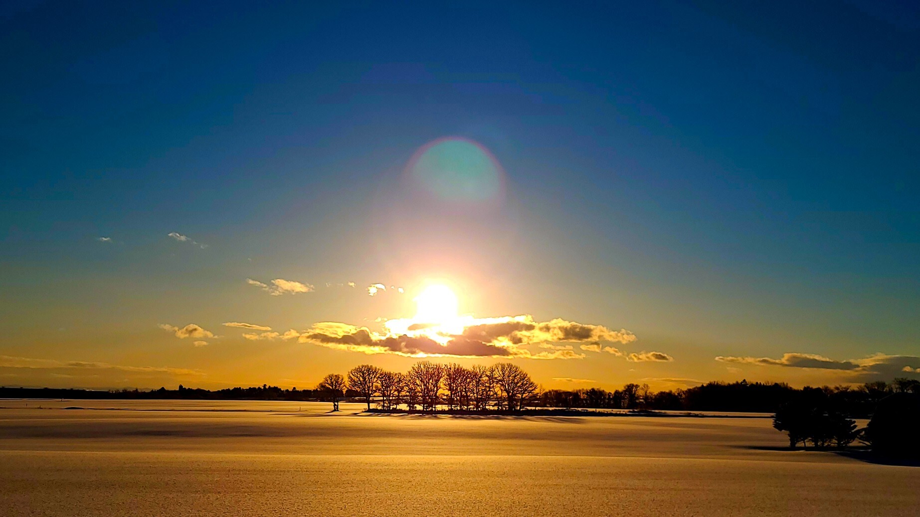 通勤途中。日の出の瞬間には間に合わなかっ... / Qさんのモーメント | YAMAP / ヤマップ