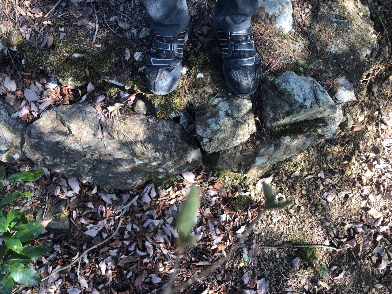 osamさんの投稿したフィールドメモ | YAMAP / ヤマップ