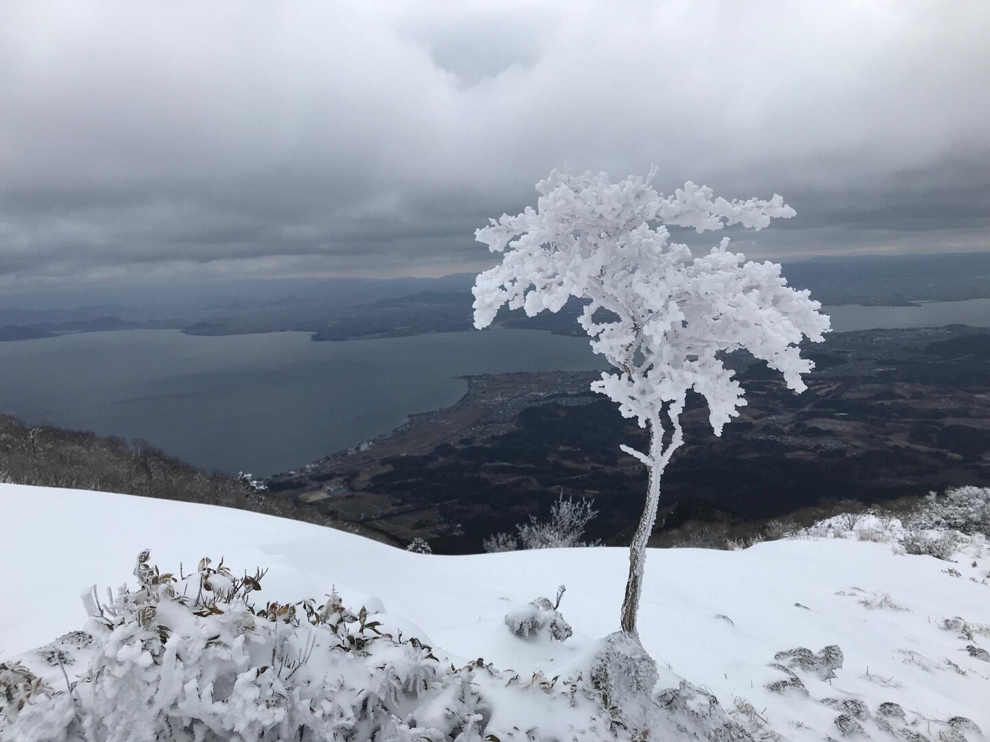 今年初Homeマウンテン比良山系へ ️ / ターニーさんの皆子山の活動データ | YAMAP / ヤマップ