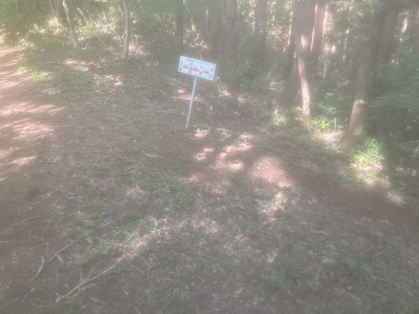 西大森山 / Yoshimiさんの五社山・外山の活動データ | YAMAP / ヤマップ