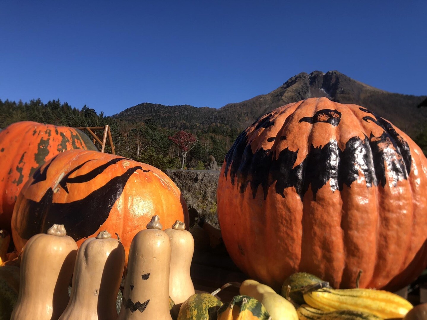 晩秋の日光白根山〜⛰ いや🤔晩秋なの... / Naluさんのモーメント | YAMAP / ヤマップ