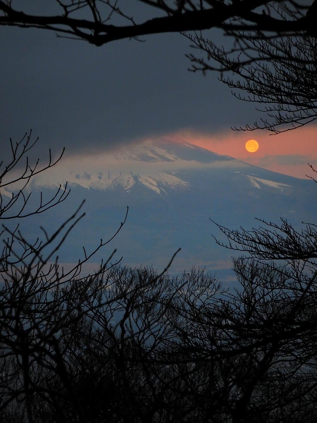 丸岳・長尾山・金時山・火打石山・明神ヶ岳・明星ヶ岳 / dai-modeさんの箱根山・神山の活動データ | YAMAP / ヤマップ