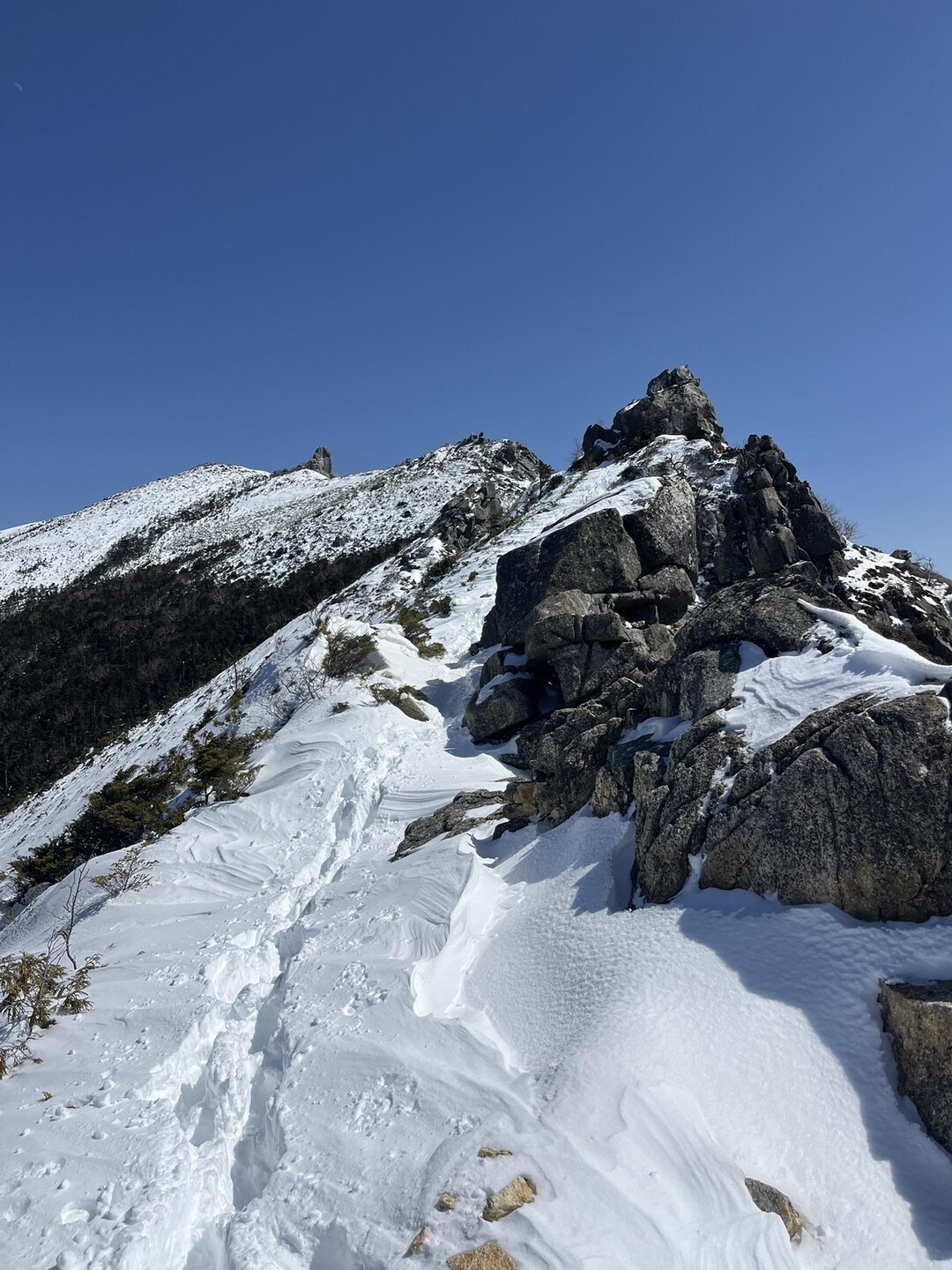 金峰山 / so!yo!さんの瑞牆山・金峰山の活動データ | YAMAP / ヤマップ