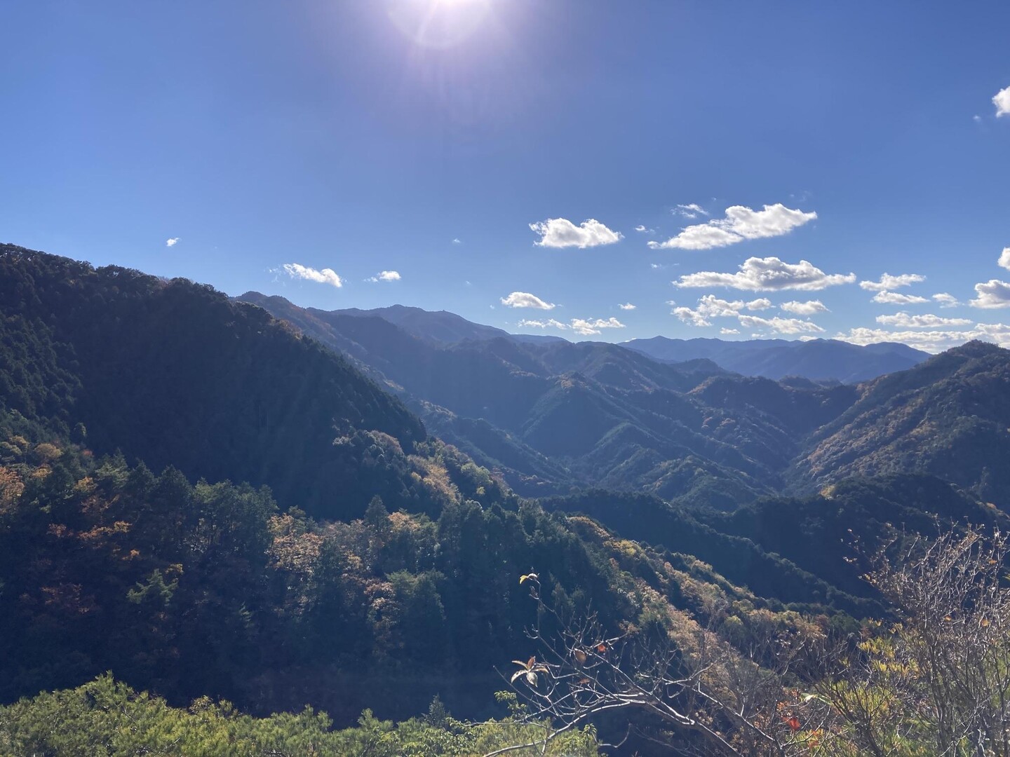 槇尾富士(下和山) / bu-koさんの槇尾山（槙尾山）・和泉葛城山・神於山の活動データ | YAMAP / ヤマップ