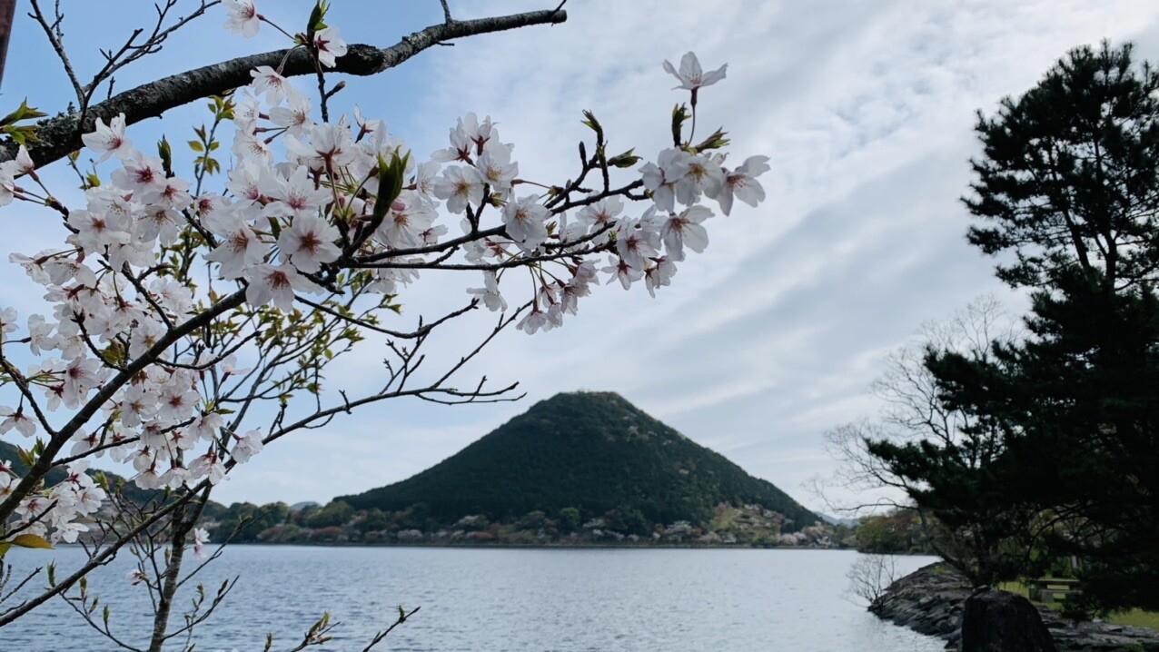 108.春の藺牟田池外輪山と池巡り / のいあ〜さんの藺牟田池・飯盛山・片城山の活動日記 | YAMAP / ヤマップ