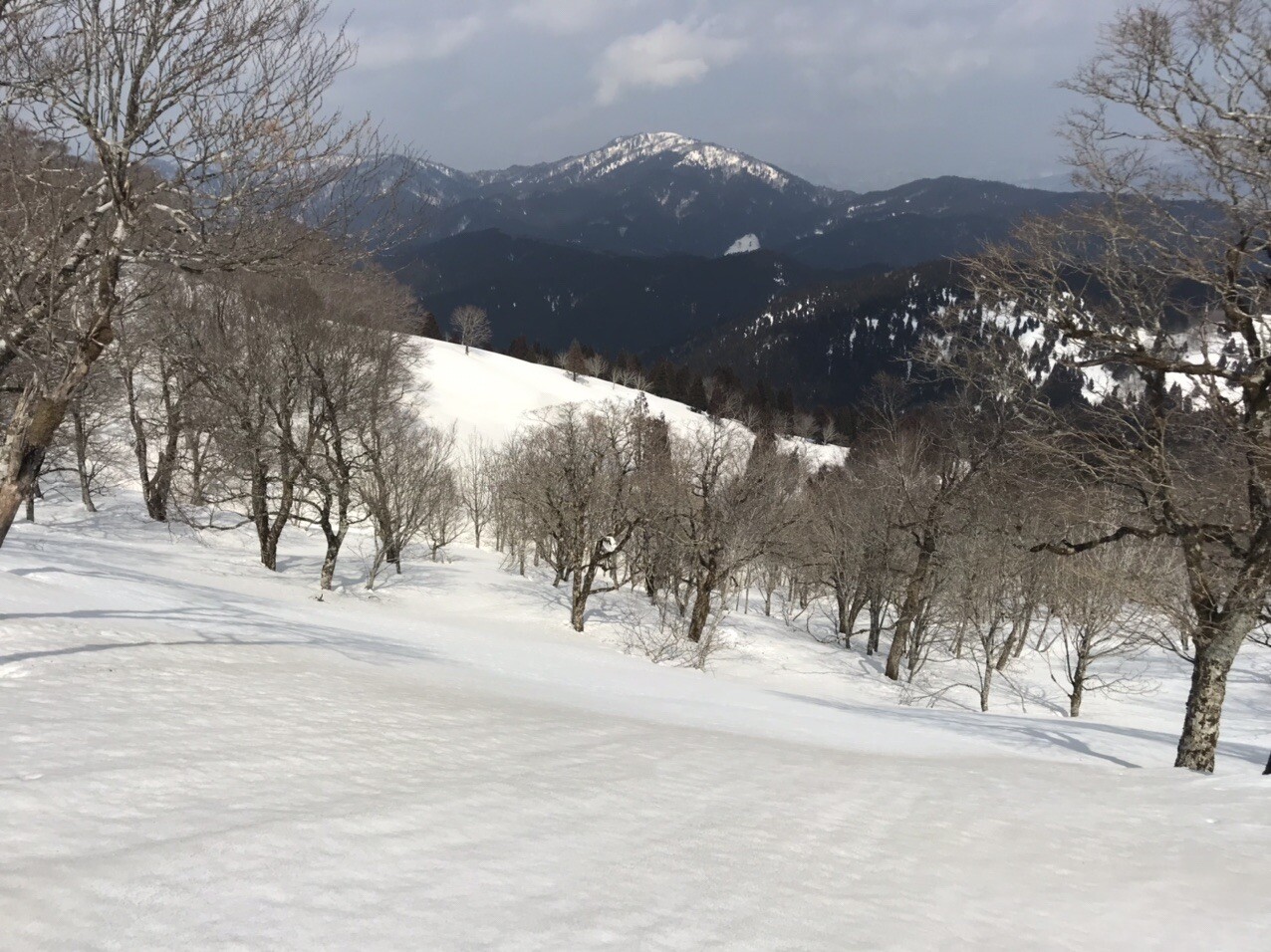 沖ノ山も雪崩日和 たいすけさんの沖ノ山・若杉原生林（若杉天然林）の活動データ Yamap ヤマップ