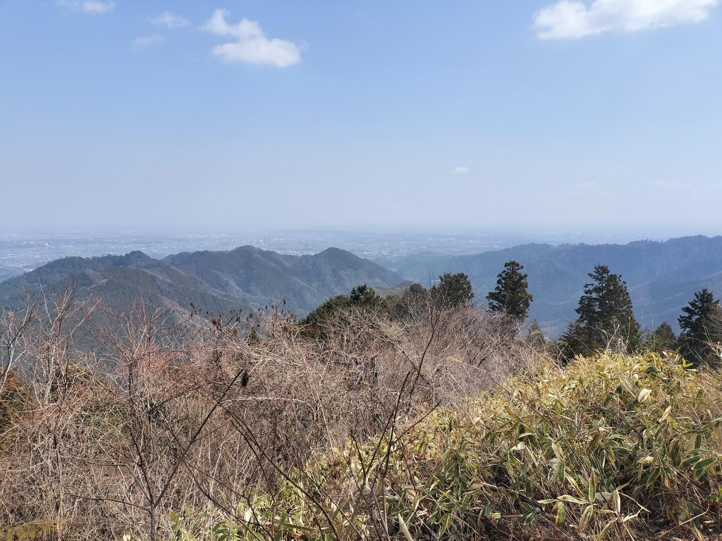 一造会 植生観察会『景信山』 / kooさんの高尾山・陣馬山・景信山の活動データ | YAMAP / ヤマップ