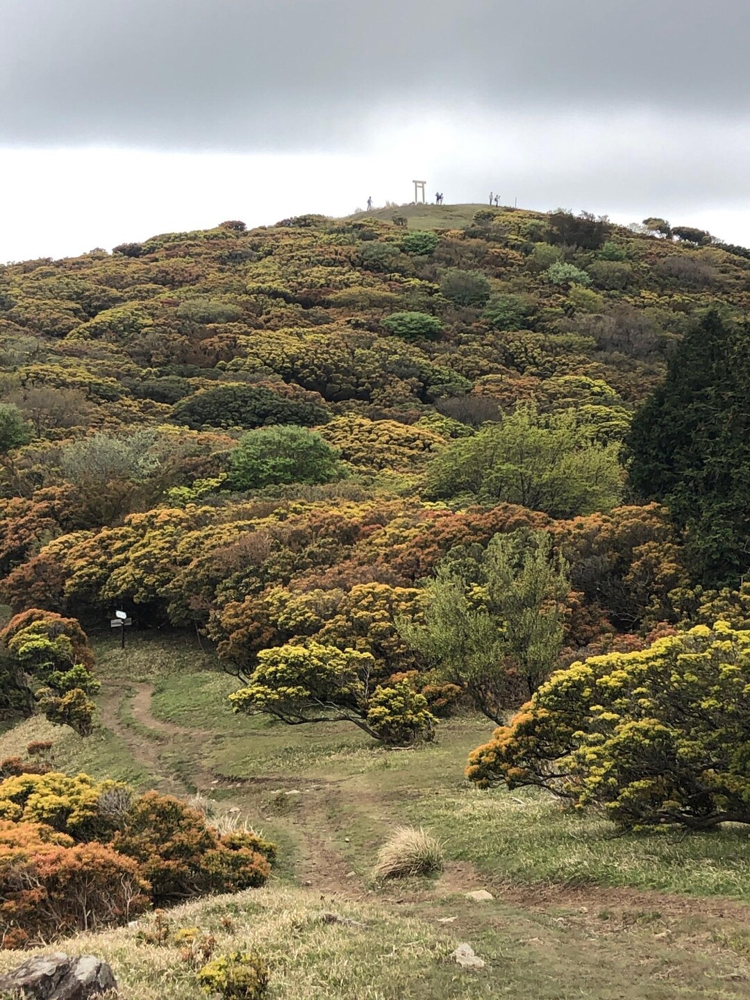入道ヶ岳 / accoさんの入道ヶ岳・鎌ヶ岳・仙ヶ岳の活動データ | YAMAP / ヤマップ
