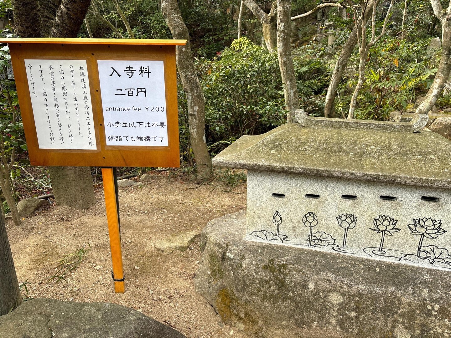 mskふぅさんの投稿したフィールドメモ | YAMAP / ヤマップ