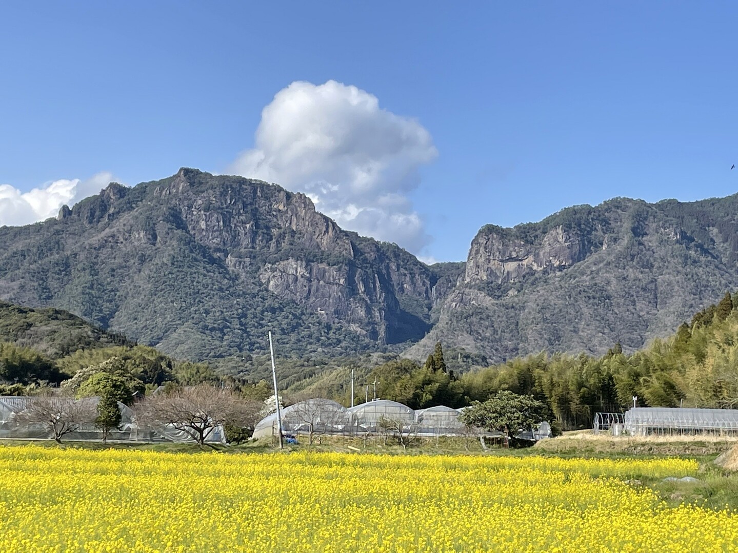 獲得標高100,000m突破 行縢山 / まやおさんの行縢山の活動日記 | YAMAP / ヤマップ