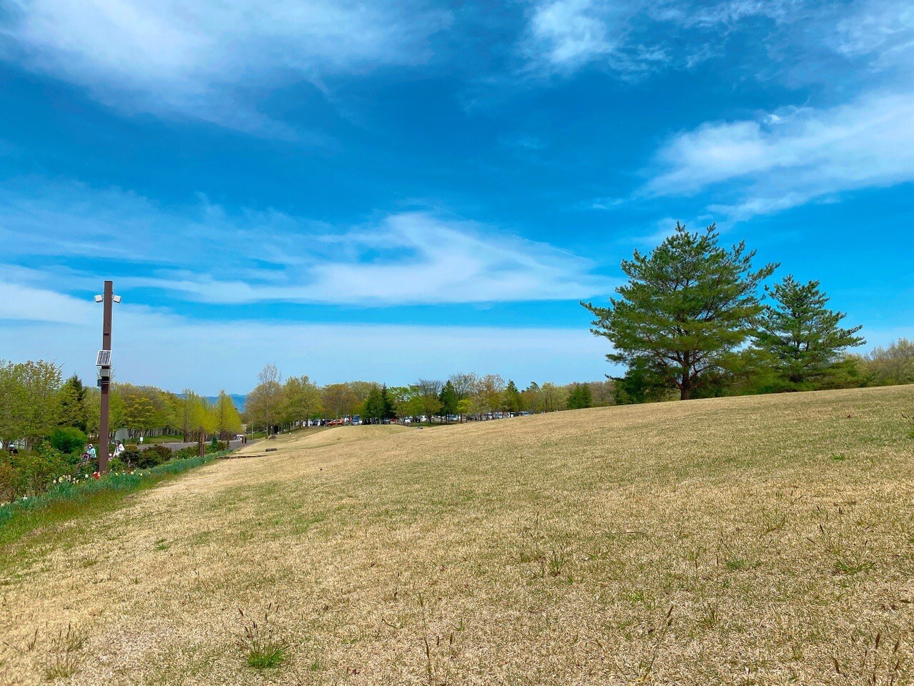 友人とあづま総合運動公園でピクニックして... / hamiさんのモーメント | YAMAP / ヤマップ
