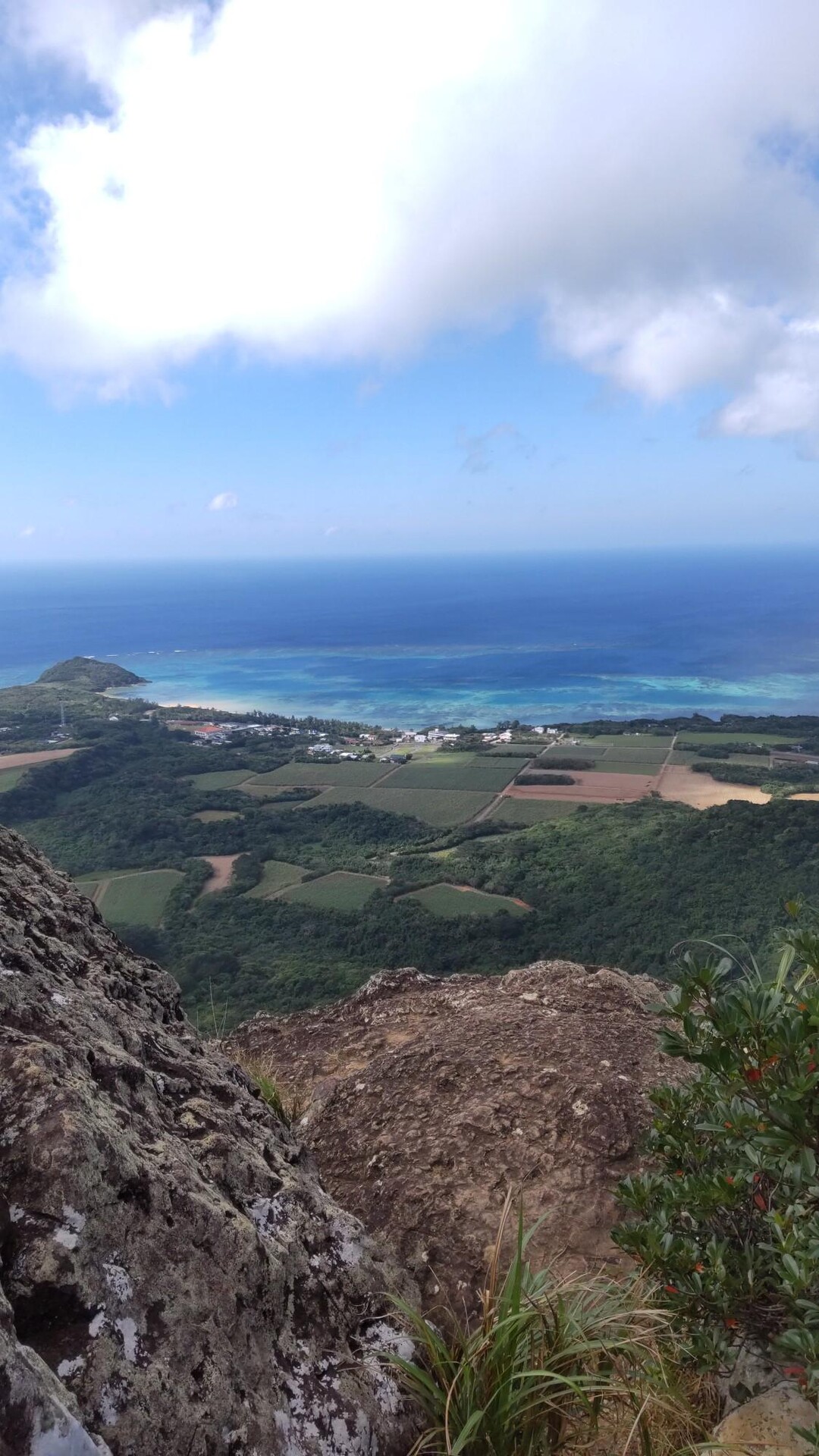 野底岳 / sawaさんの石垣島 北部の活動データ | YAMAP / ヤマップ
