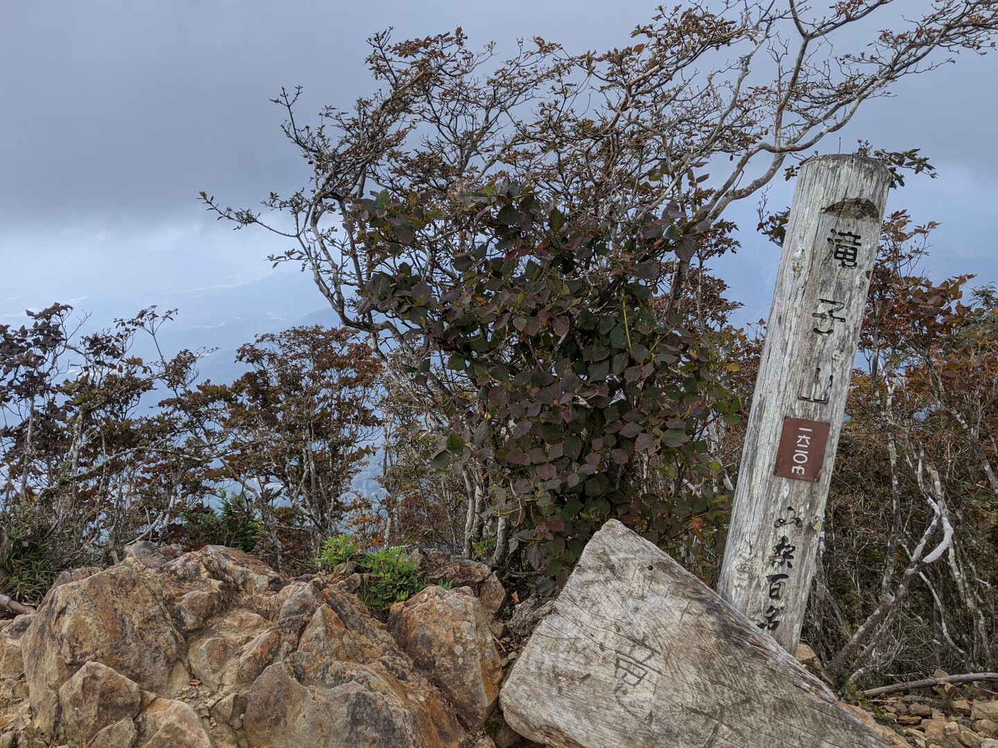 滝子山 / nicomomoさんの滝子山・大谷ヶ丸・笹子雁ヶ腹摺山の活動データ | YAMAP / ヤマップ