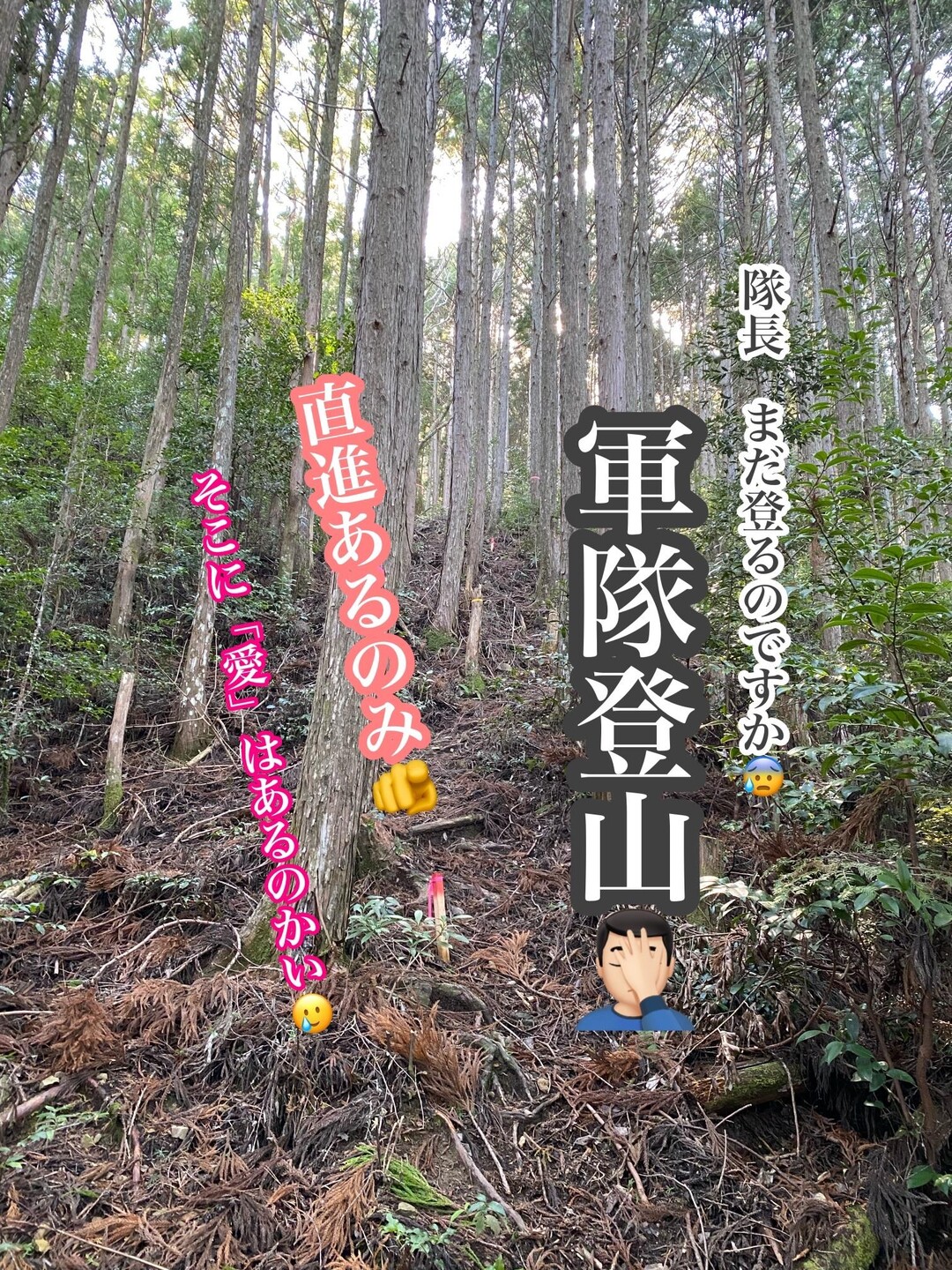 （和歌山）清冷山 ピストン / ふらのさんの矢筈岳の活動データ | YAMAP / ヤマップ