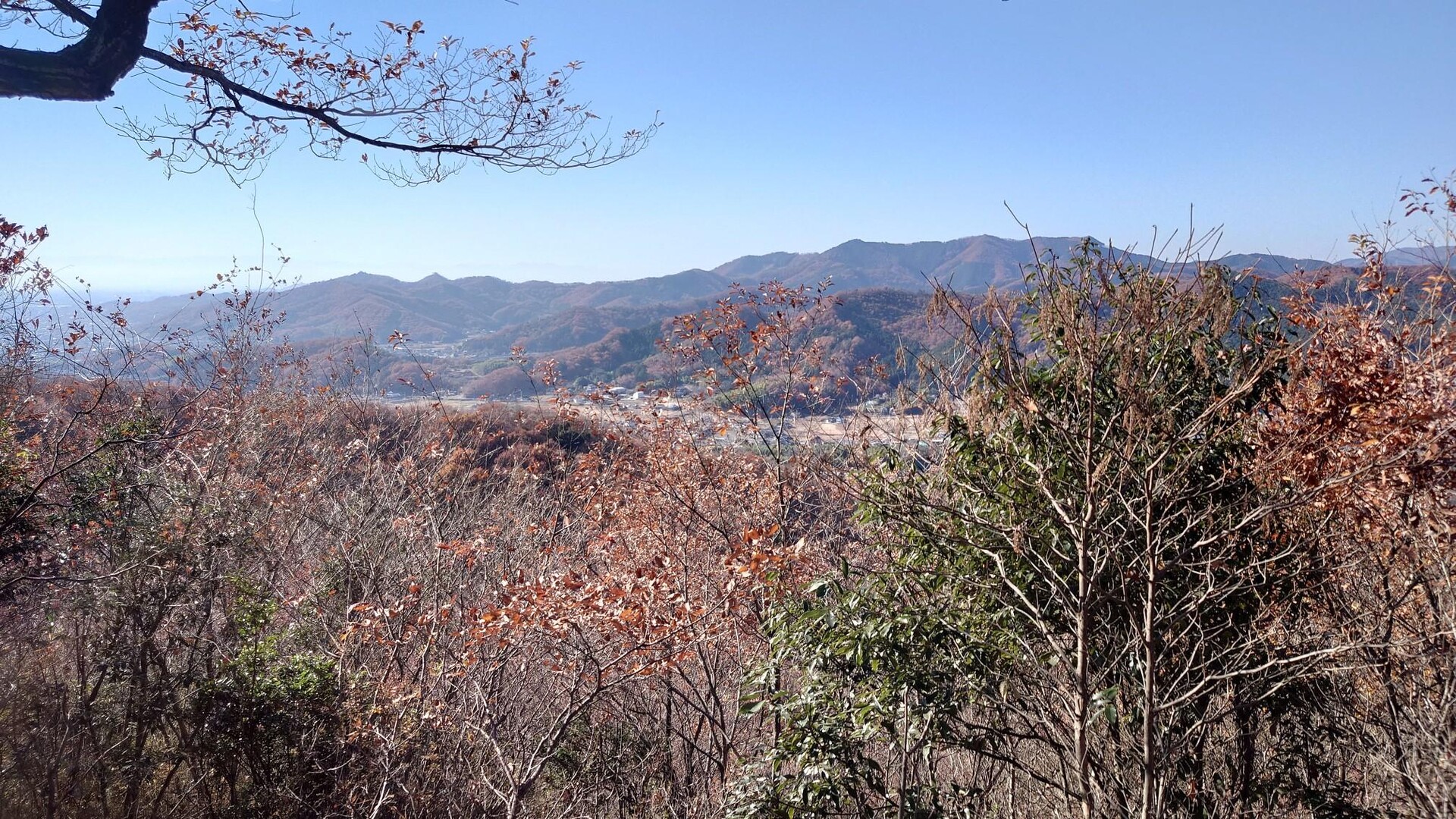 奥山・寺山 / tutuさんの鳩ノ峰・山王山・寺久保山の活動データ | YAMAP / ヤマップ