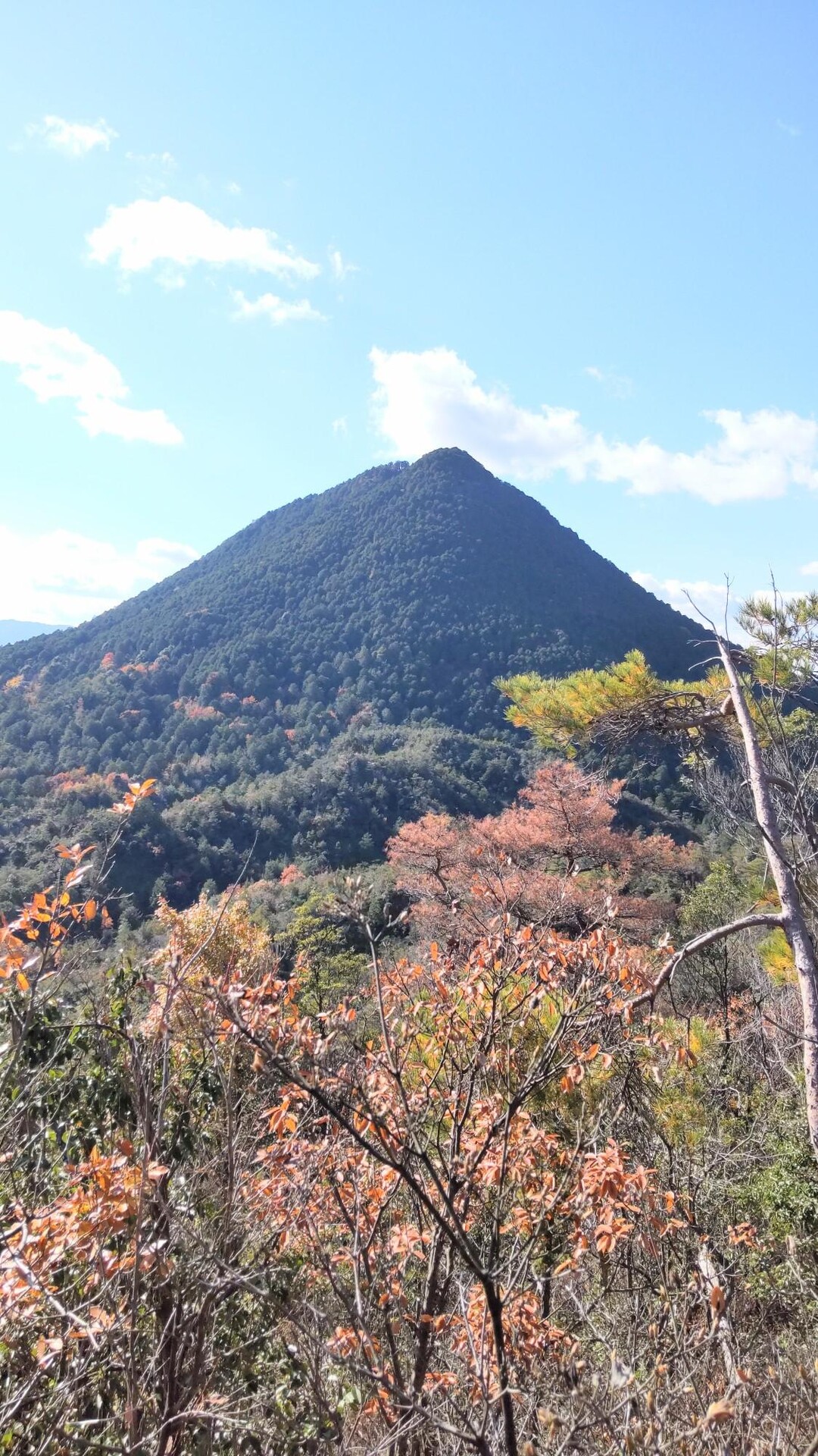 🚞&🥾三上山（近江富士）他5ピーク / モンチGf🙊さんの三上山・鏡山の活動データ | YAMAP / ヤマップ
