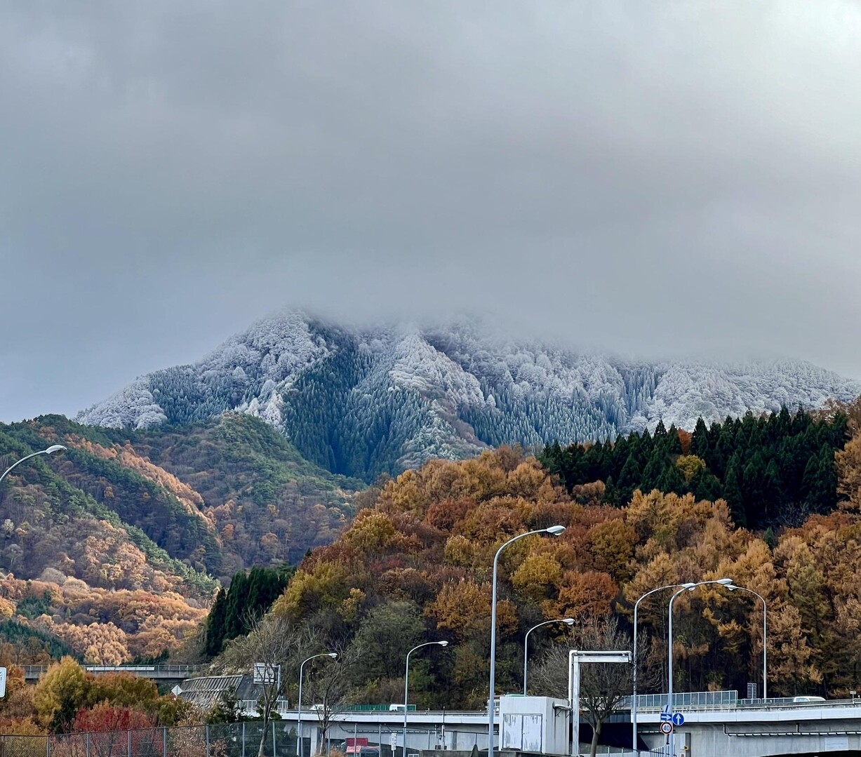 長野への移動中、姥捨PA付近で三段紅葉を... / たかゆきさんのモーメント | YAMAP / ヤマップ
