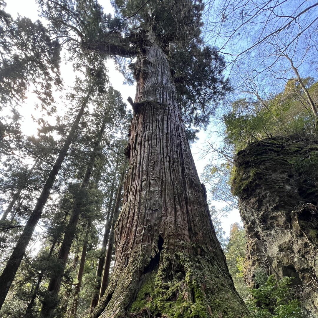 英彦山（南岳） / jyamiさんの英彦山の活動日記 | YAMAP / ヤマップ
