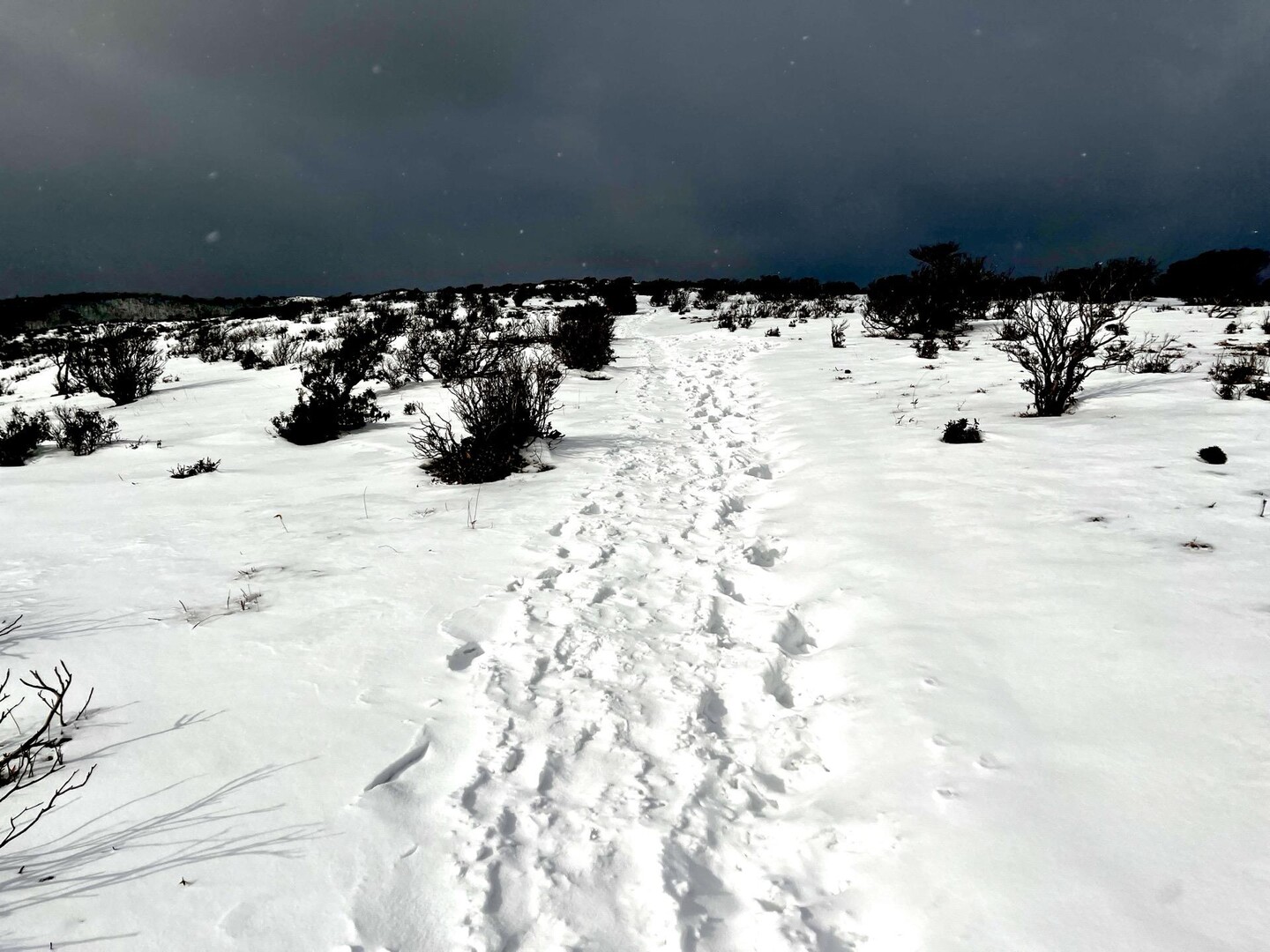 段ヶ峰 / idasさんの段ヶ峰・笠杉山・千町ヶ峰の活動データ | YAMAP / ヤマップ