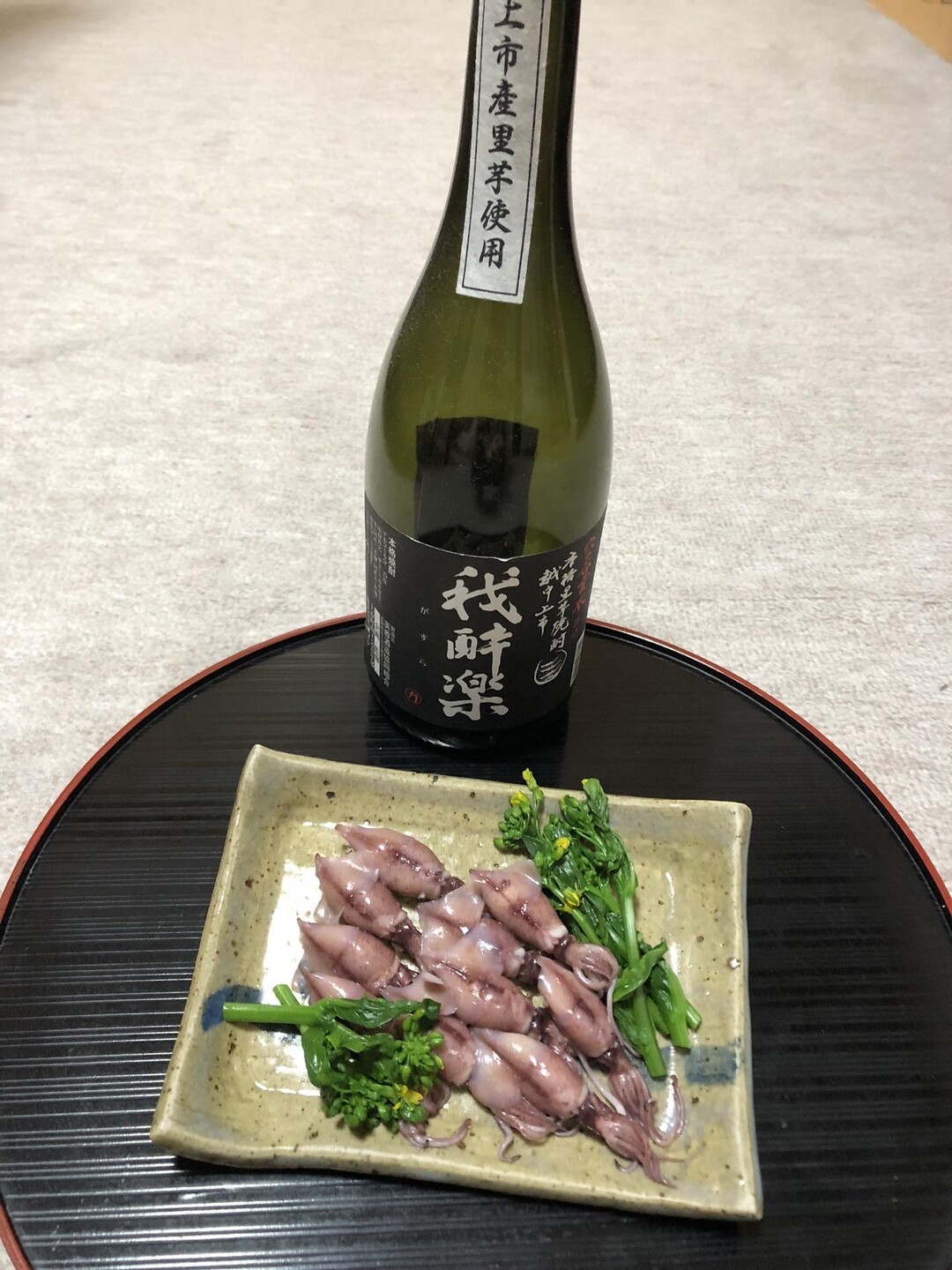 富山湾🌊ホタルイカ漁🦑解禁 🦑春... / kyoroさんのモーメント | YAMAP / ヤマップ