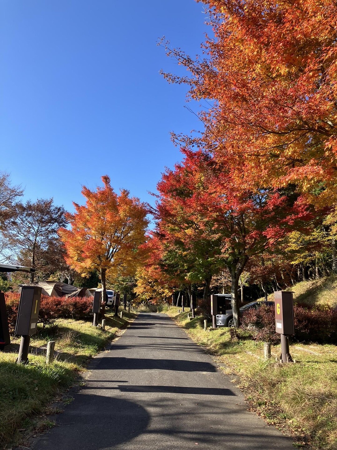 2023.11.03(金) 07:16 / ユーザーまーしさんのモーメント | YAMAP / ヤマップ
