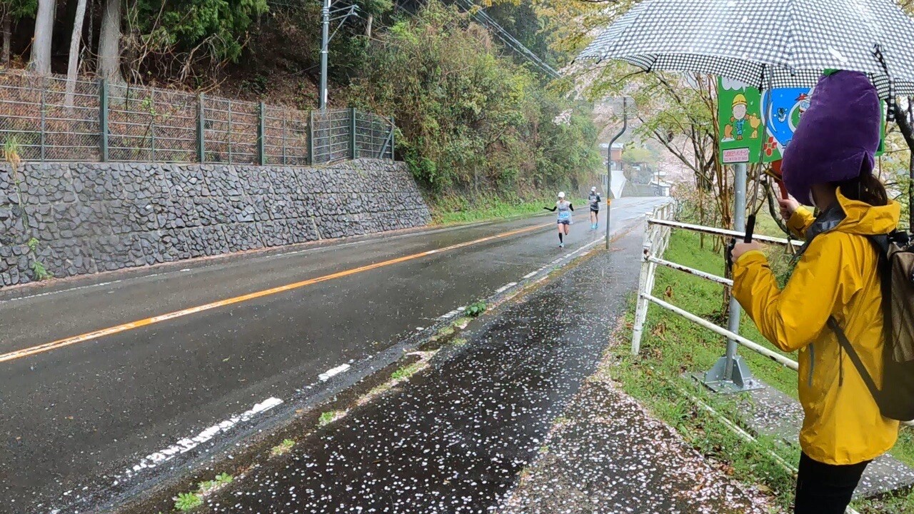 四万十川桜マラソンDNS🌸 ランナー、... / なっすんさんのモーメント | YAMAP / ヤマップ