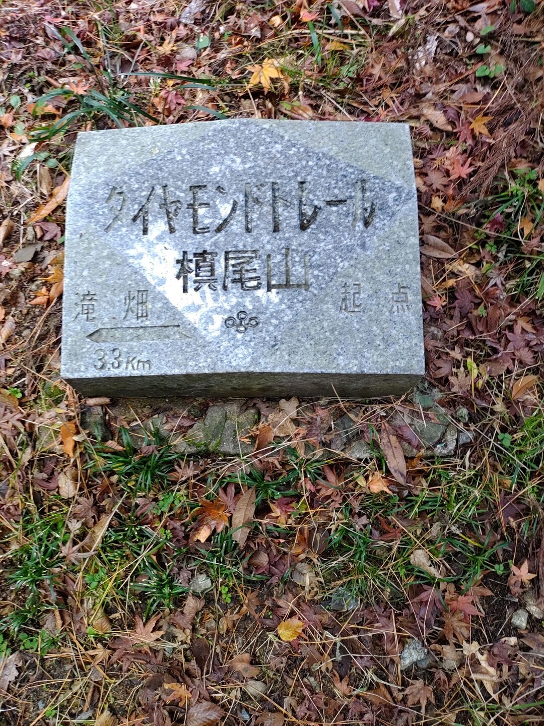 ダイヤモンドトレールの起点。槙尾山・奥槇尾山・十五丁地蔵山・猿子城山 / OS サテライトさんの岩湧山・一徳防山・三石山の活動データ | YAMAP / ヤマップ