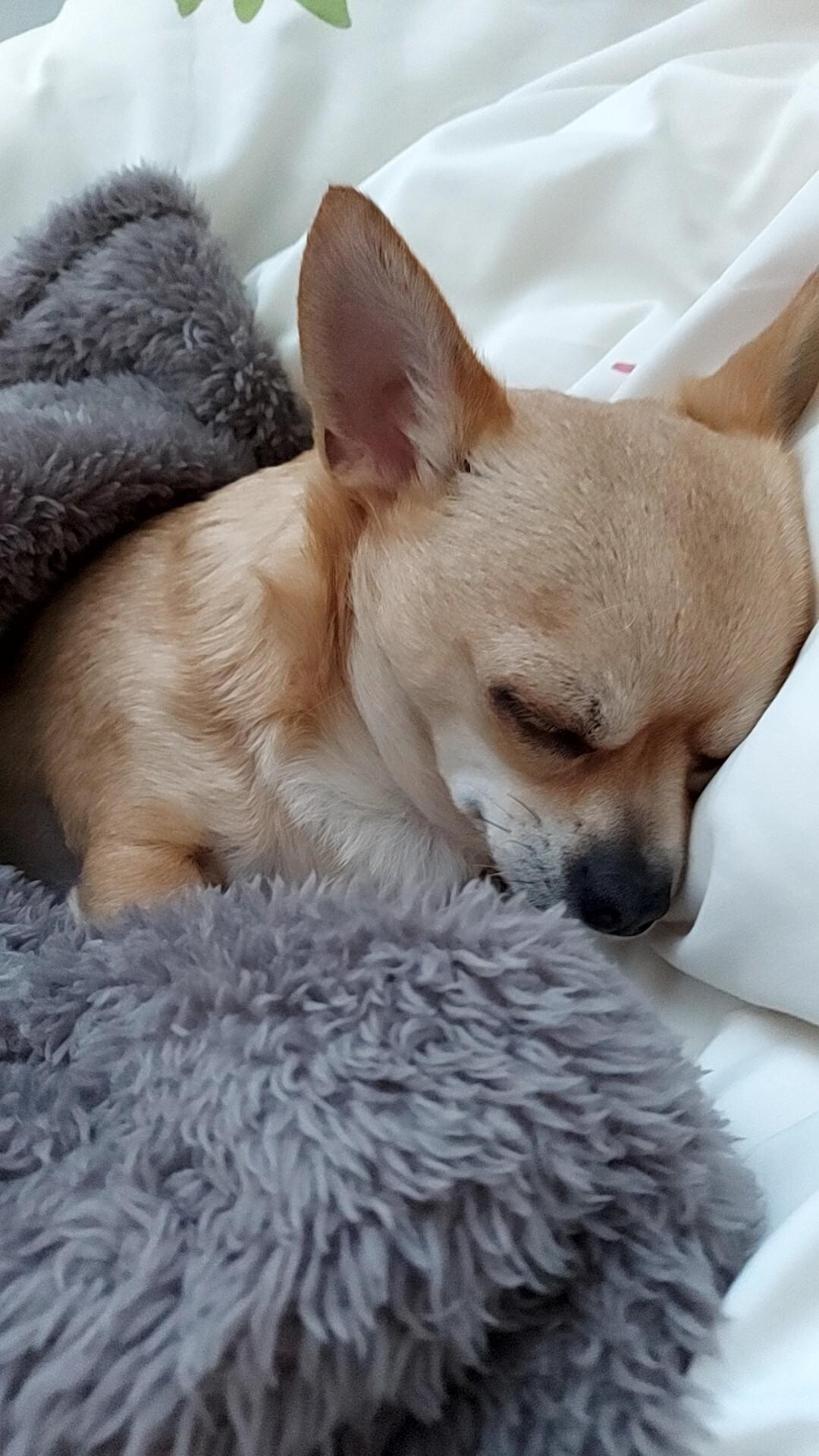 あぁ 眠い💤 / T.Y.さんのモーメント | YAMAP / ヤマップ